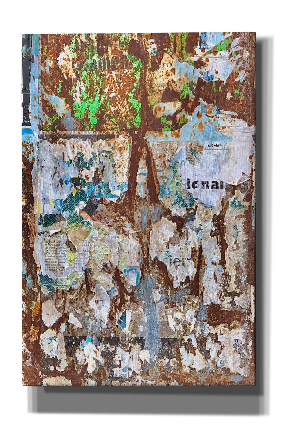 Epic Graffiti 'Bus Poster Remnant Siena 25' by IMB, Canvas Wall Art, 12 ...