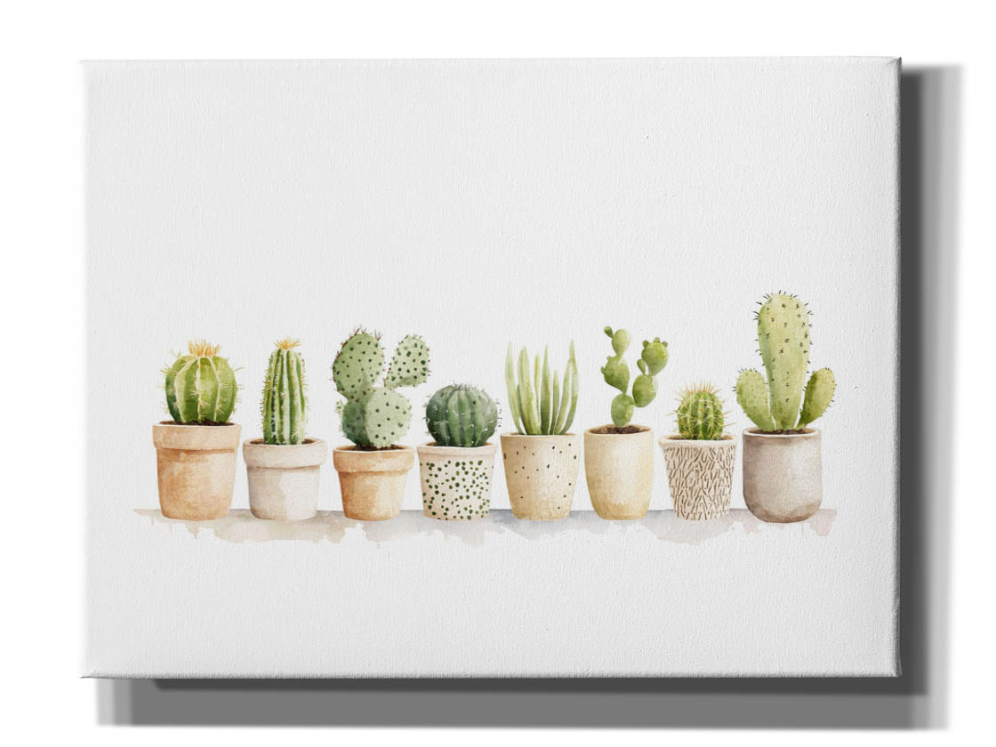 Epic Graffiti 'Cacti In Ceramic' by Svetlana Aleynikova Canvas Wall Art ...