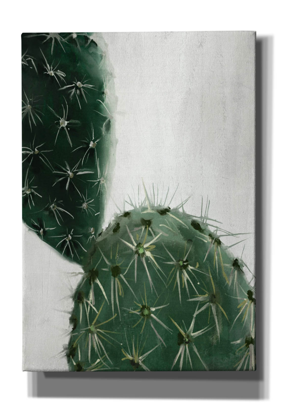 Epic Graffiti 'Cactus ' by Svetlana Aleynikova Canvas Wall Art, 18" x ...
