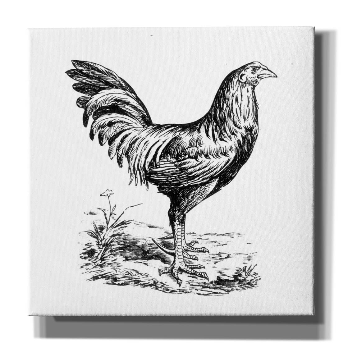Epic Graffiti 'Chicken In The Yard' by Art Licensing Studio Canvas Wall ...
