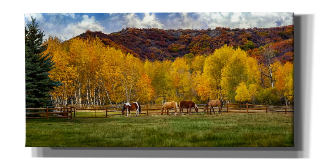 Epic Graffiti 'Colorado Farm' by Jonathan Ross, Canvas Wall Art, 60"x30 ...