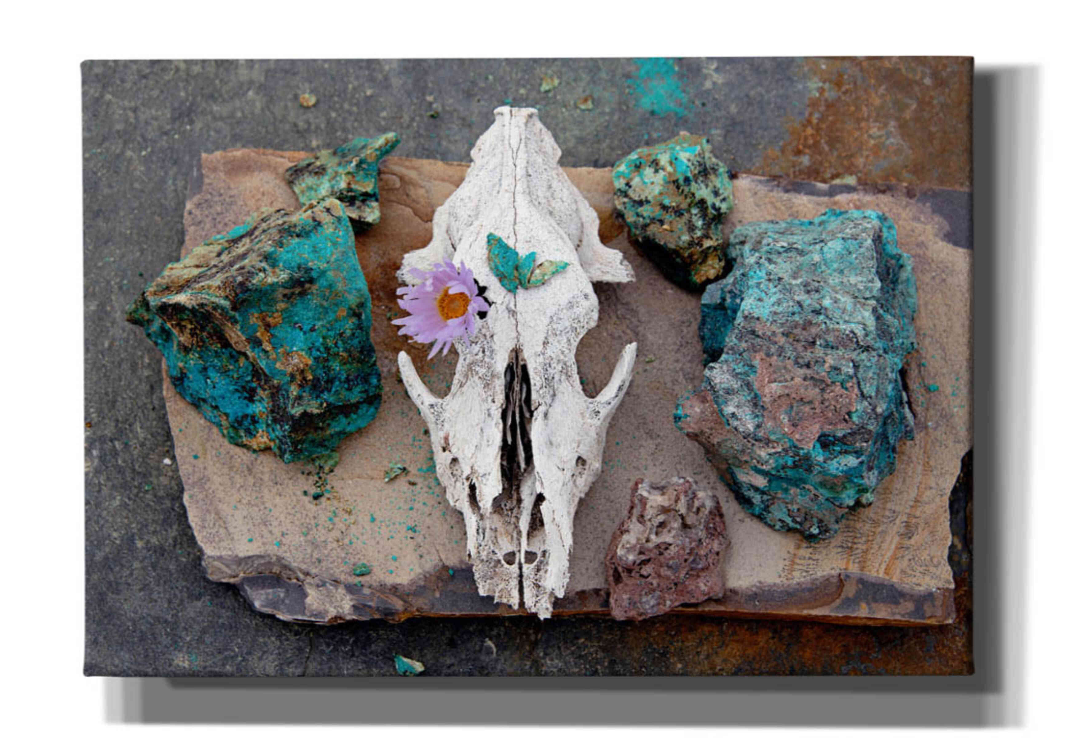Epic Graffiti 'Coyote Shaman Altar' by Elena Ray, Canvas Wall Art, 26 ...