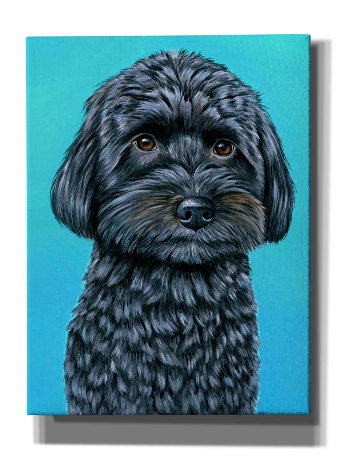Epic Graffiti 'Cute Schnoodle On Teal' by Rebecca Wang Art Canvas Wall ...