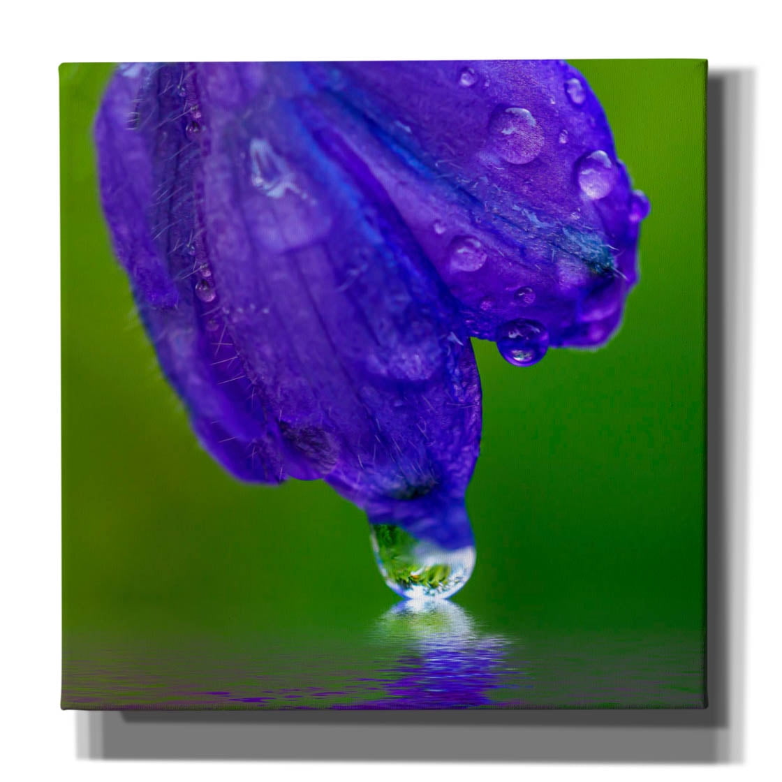 Epic Graffiti 'Delphinium Kiss' by Pamela Plummer, Canvas Wall Art, 12 ...