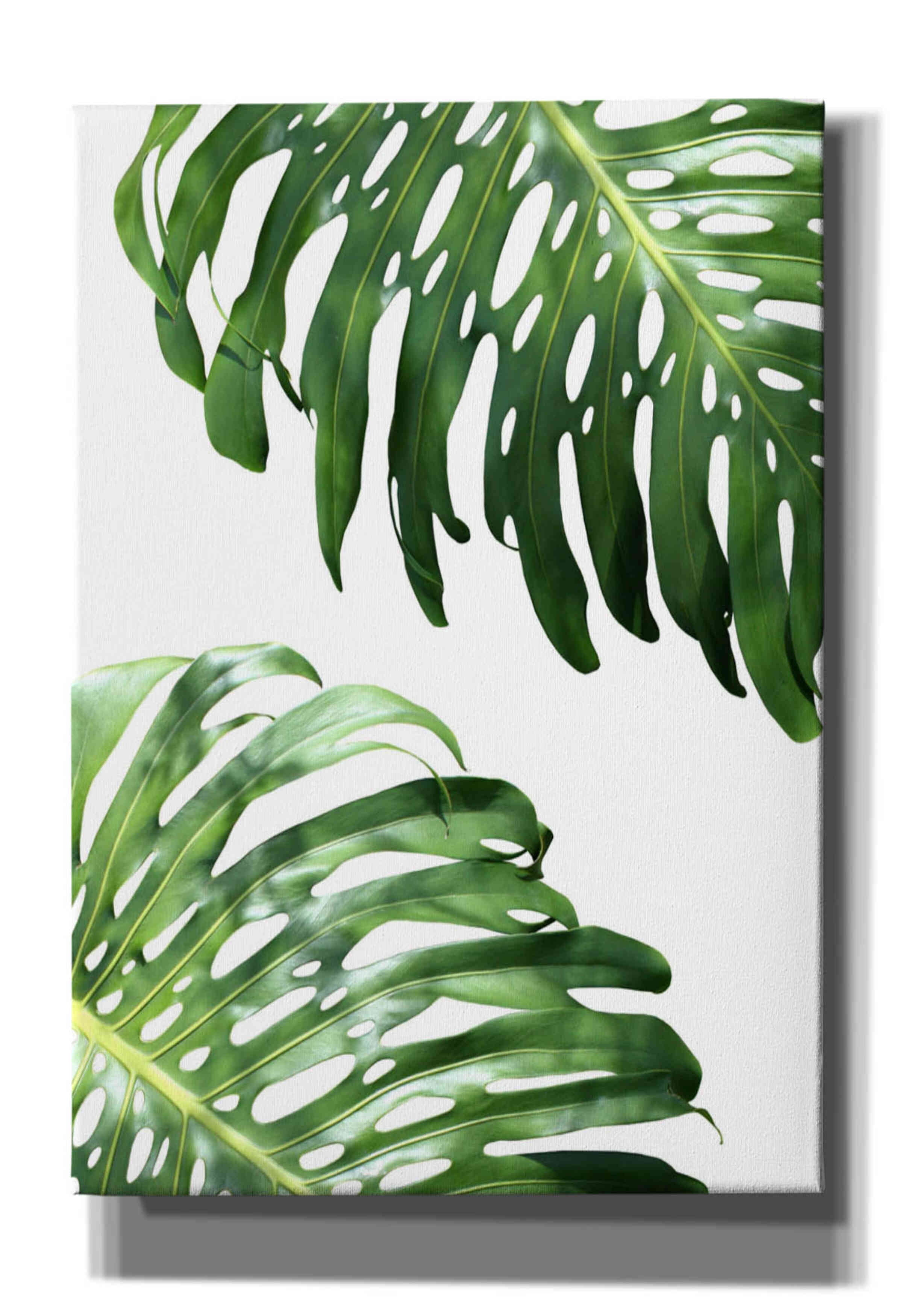 Epic Graffiti 'Double Philodendron (color)' by Lexie Greer, 18"x26" - Walmart.com