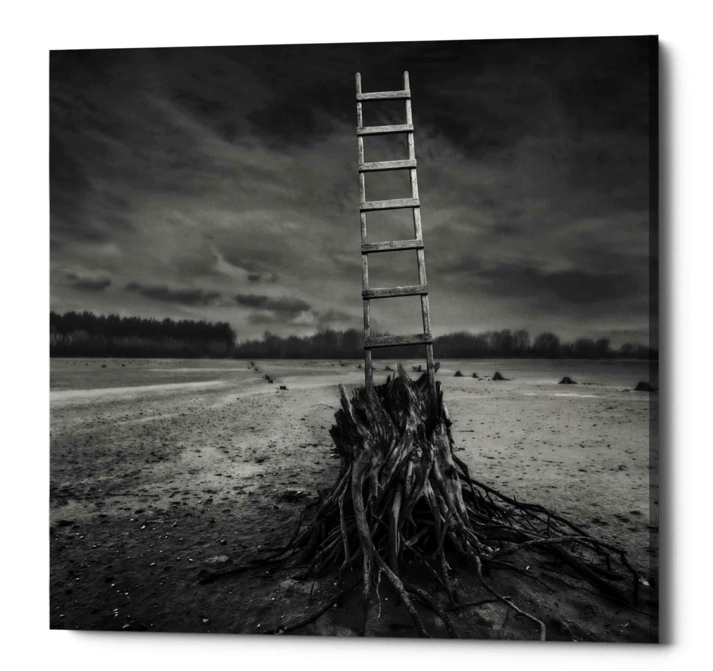 Epic Graffiti "Drabinka" by Dariusz Klimczak, Giclee Canvas Wall Art ...