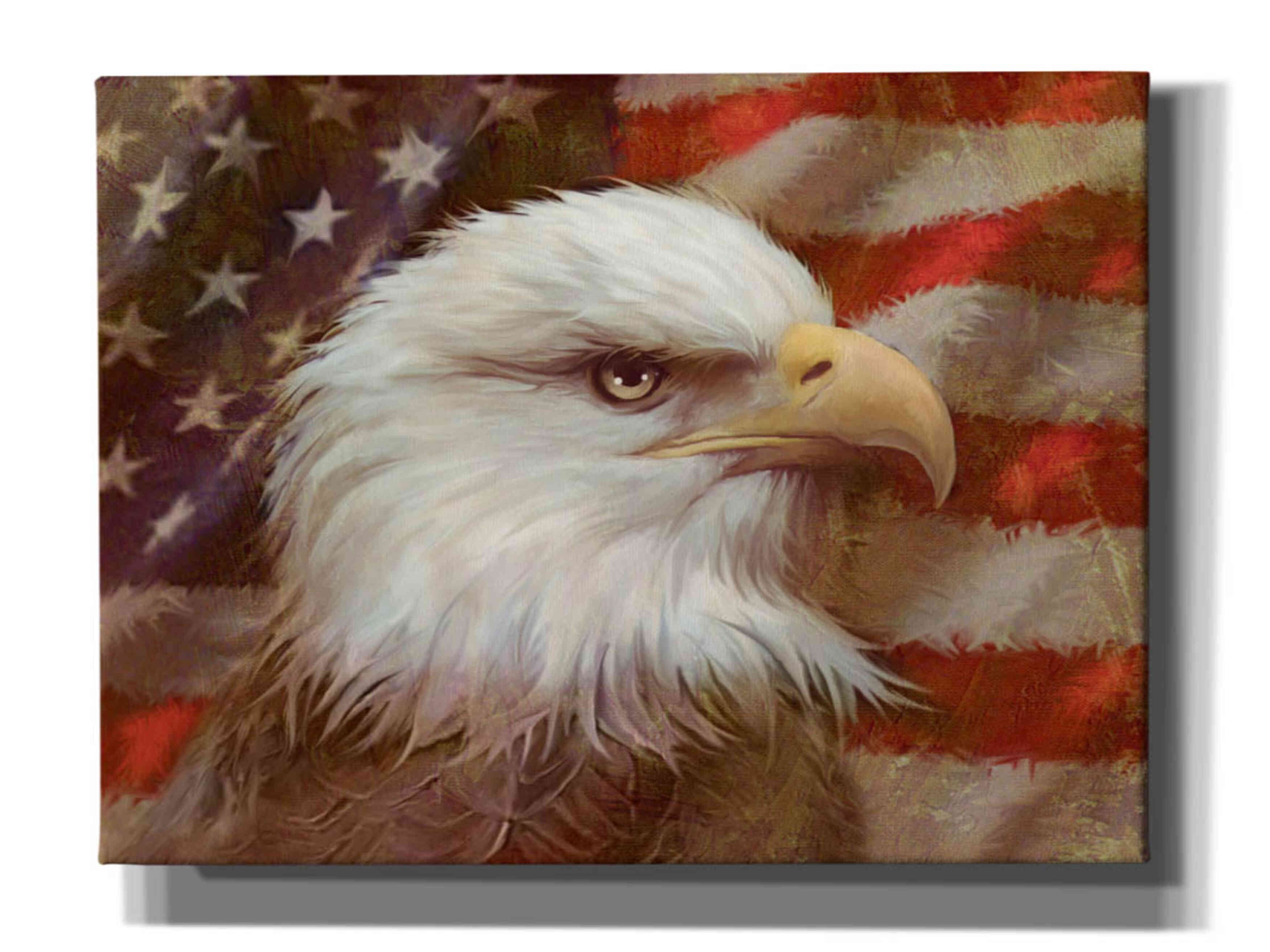 Epic Graffiti 'Eagle And Flag' by Enright, Canvas Wall Art, 16"x12 ...