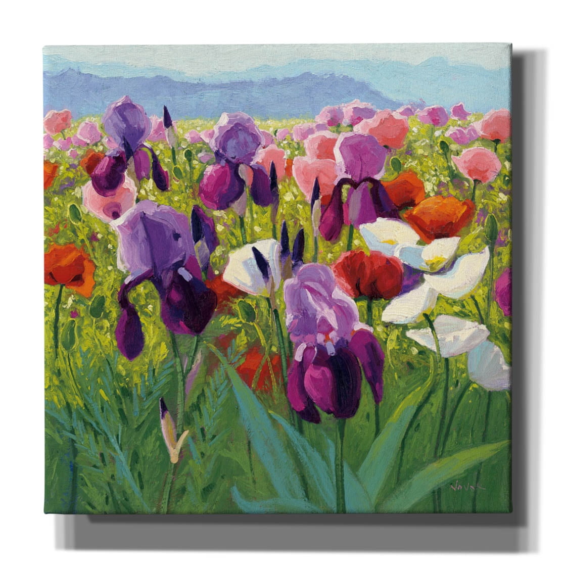 Epic Graffiti 'Early June' by Shirley Novak Canvas Wall Art, 26" x 26 ...