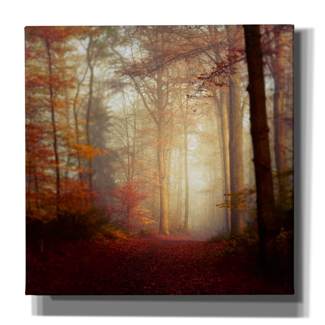 Epic Graffiti 'Fall Hike' by Dirk Wustenhagen Canvas Wall Art, 37" x 37 ...