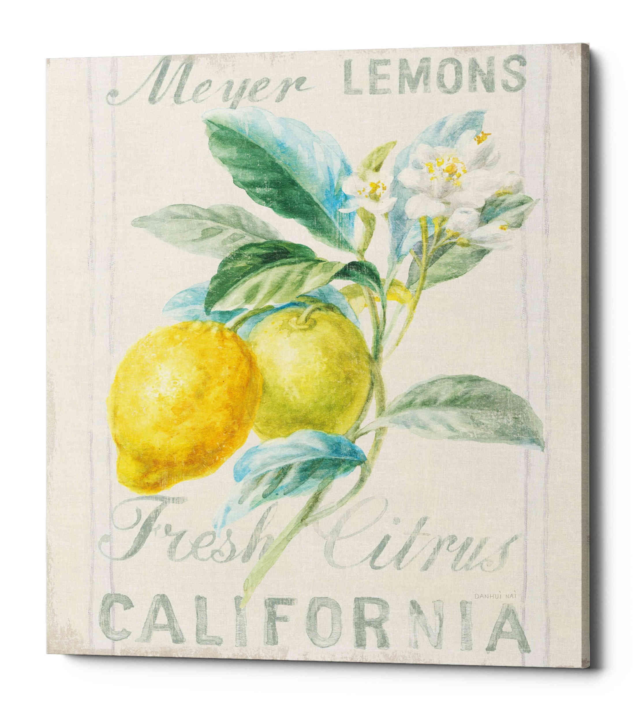 Epic Graffiti 'Floursack Lemon II' by Danhui Nai, Canvas Wall Art, 20 ...