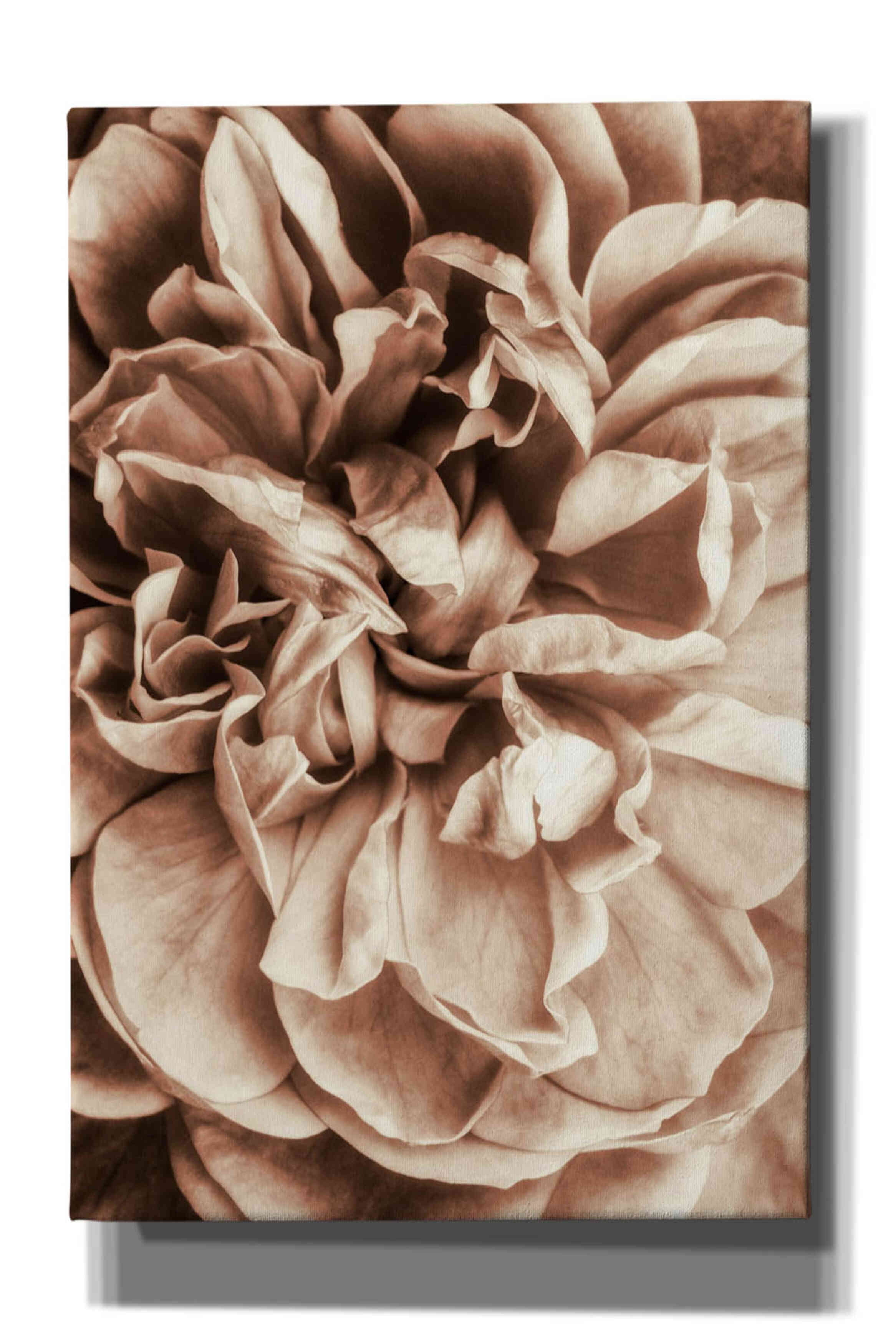 Epic Graffiti 'Flower Bloom 3' by Incado, Giclee Canvas Wall Art, 40 ...
