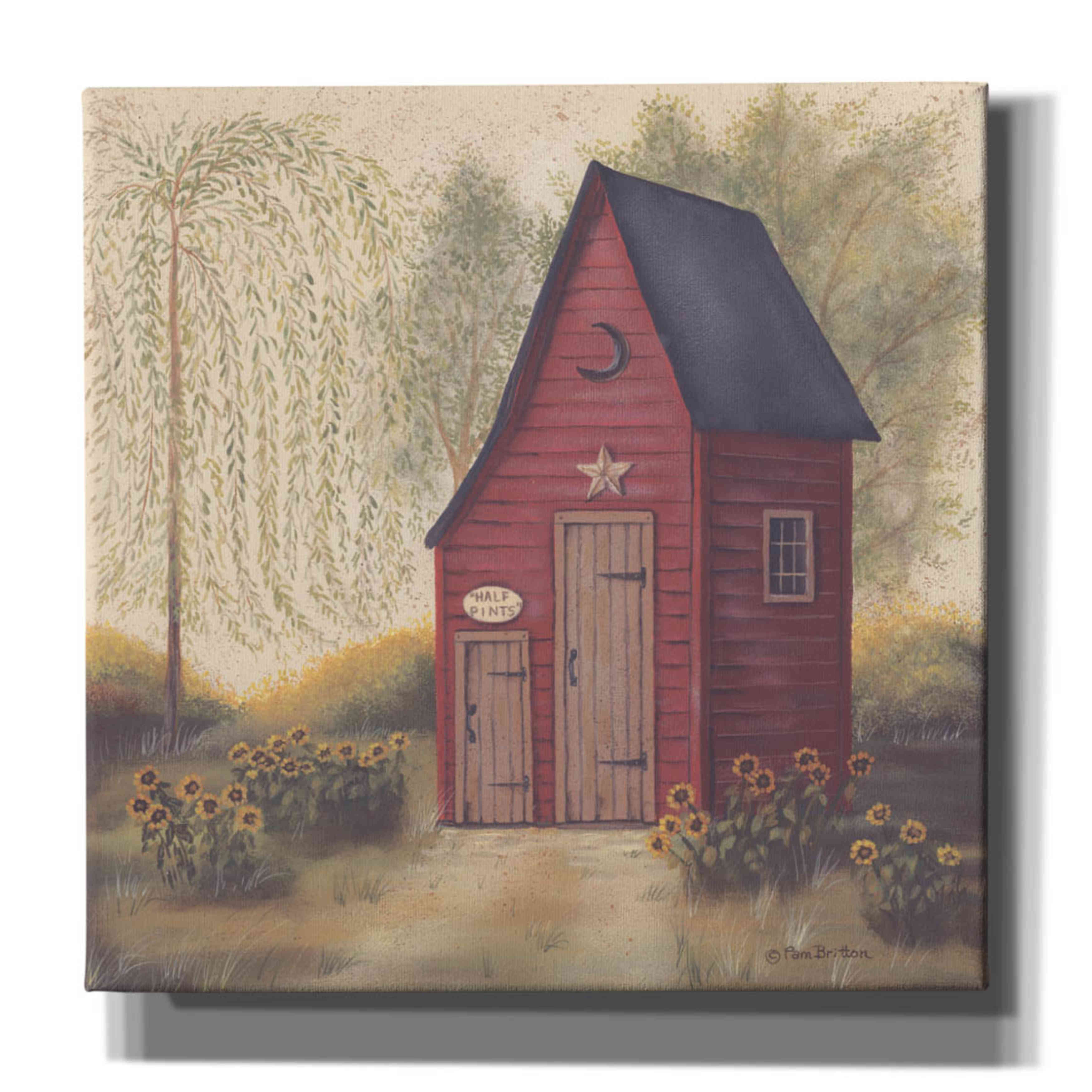 Epic Graffiti 'Folk Art Outhouse II' by Pam Britton, Canvas Wall Art ...