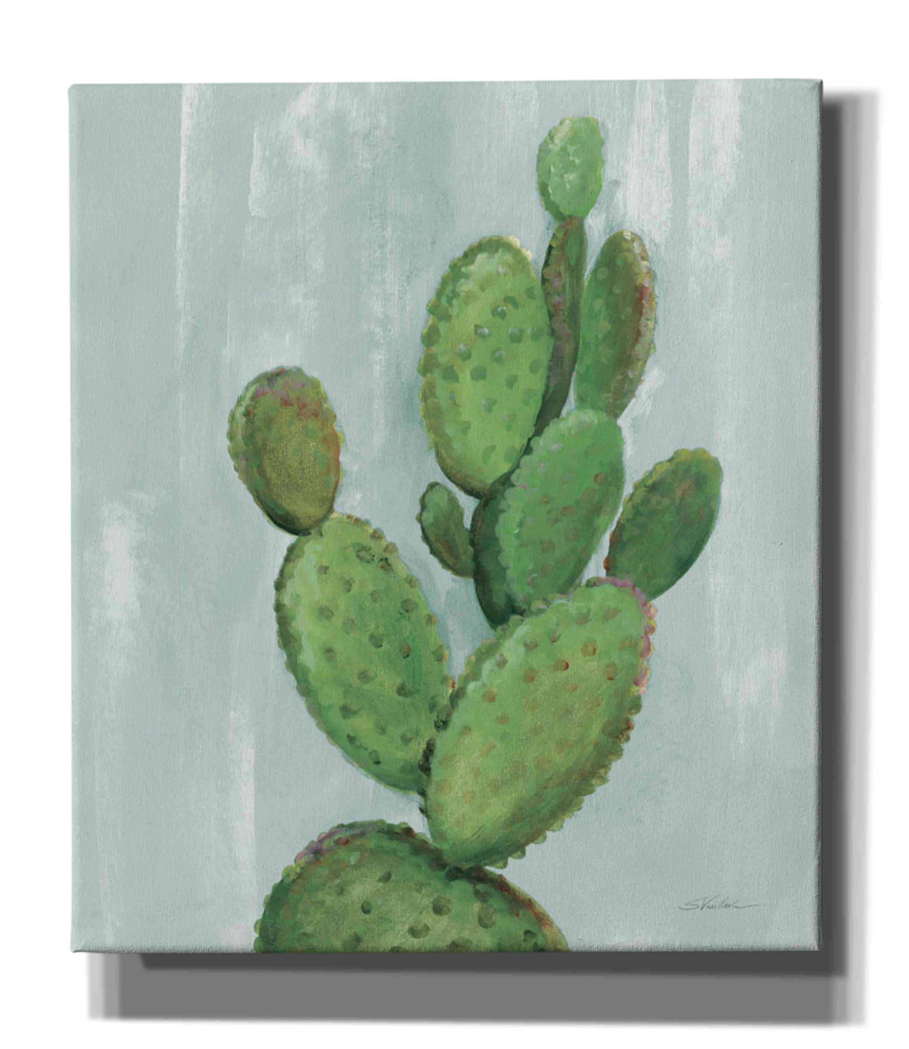 Epic Graffiti 'Front Yard Cactus I Slate' by Silvia Vassileva, Canvas ...