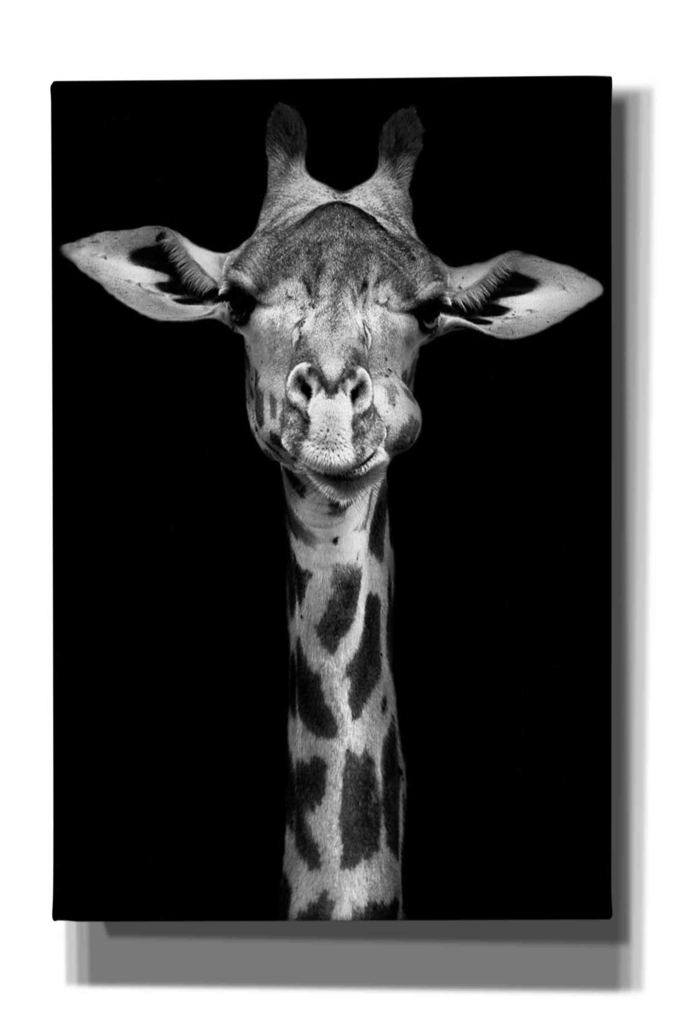 Epic Graffiti 'Giraffe' by Incado, Giclee Canvas Wall Art, 12"x18 ...