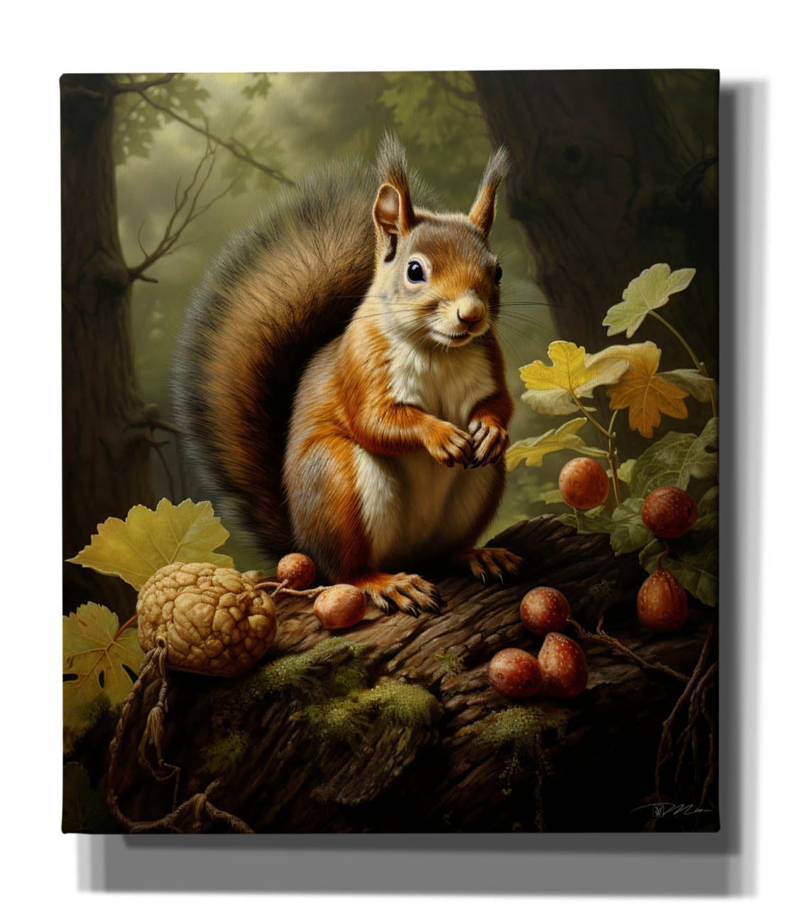 Epic Graffiti 'Grey Squirrel In The Woods' by Momart Canvas Wall Art ...