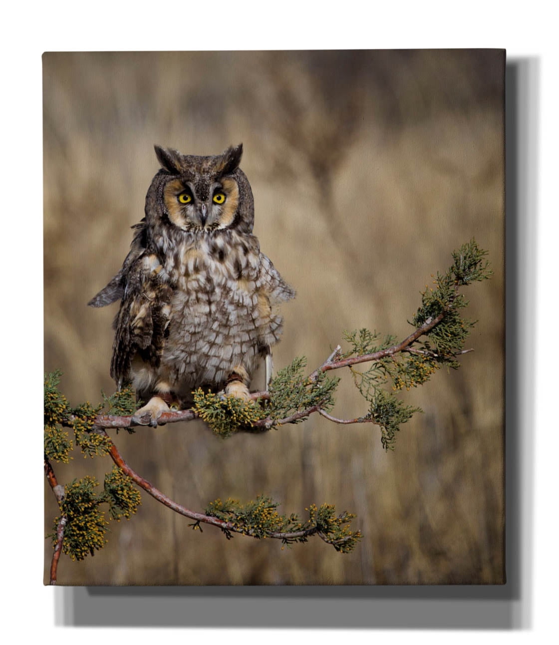 Epic Graffiti 'Hanging Out' by Jonathan Ross, Canvas Wall Art, 26"x30 ...