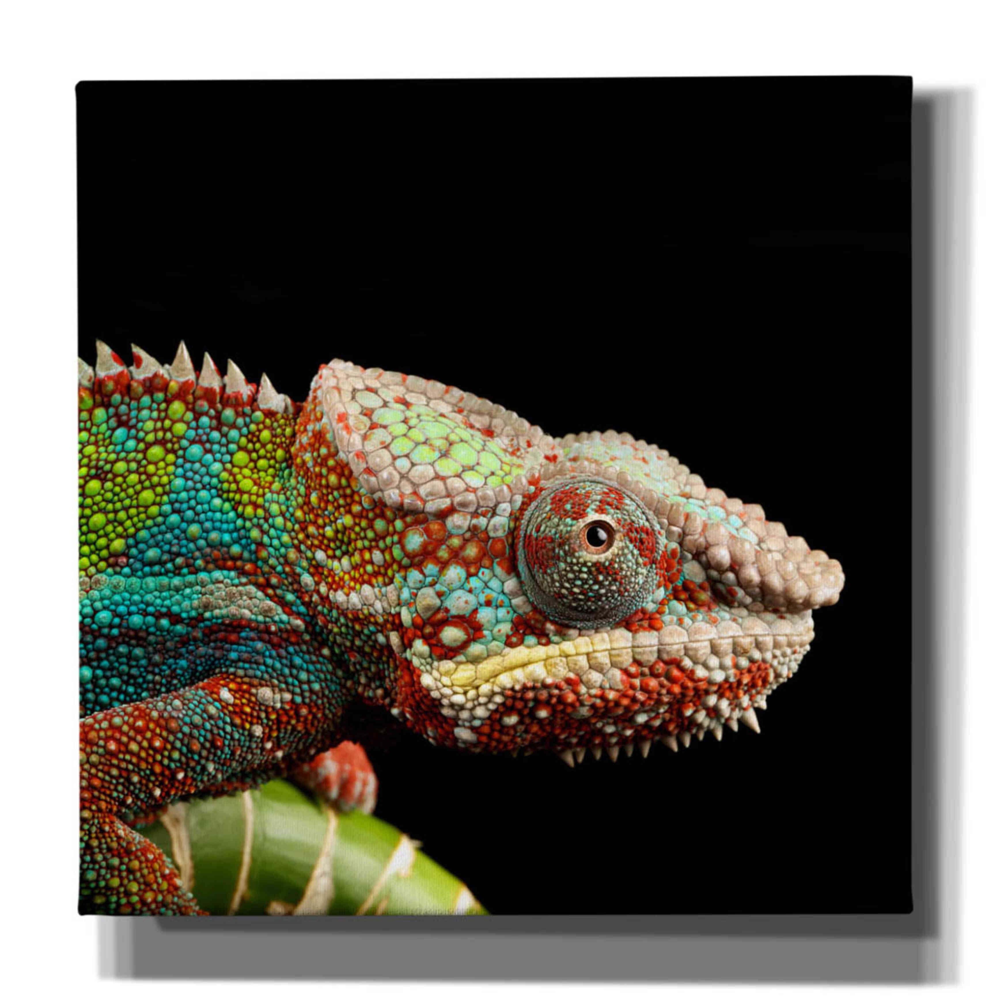 Epic Graffiti 'Hide And Seek' by Epic Portfolio Giclee Canvas Wall Art ...