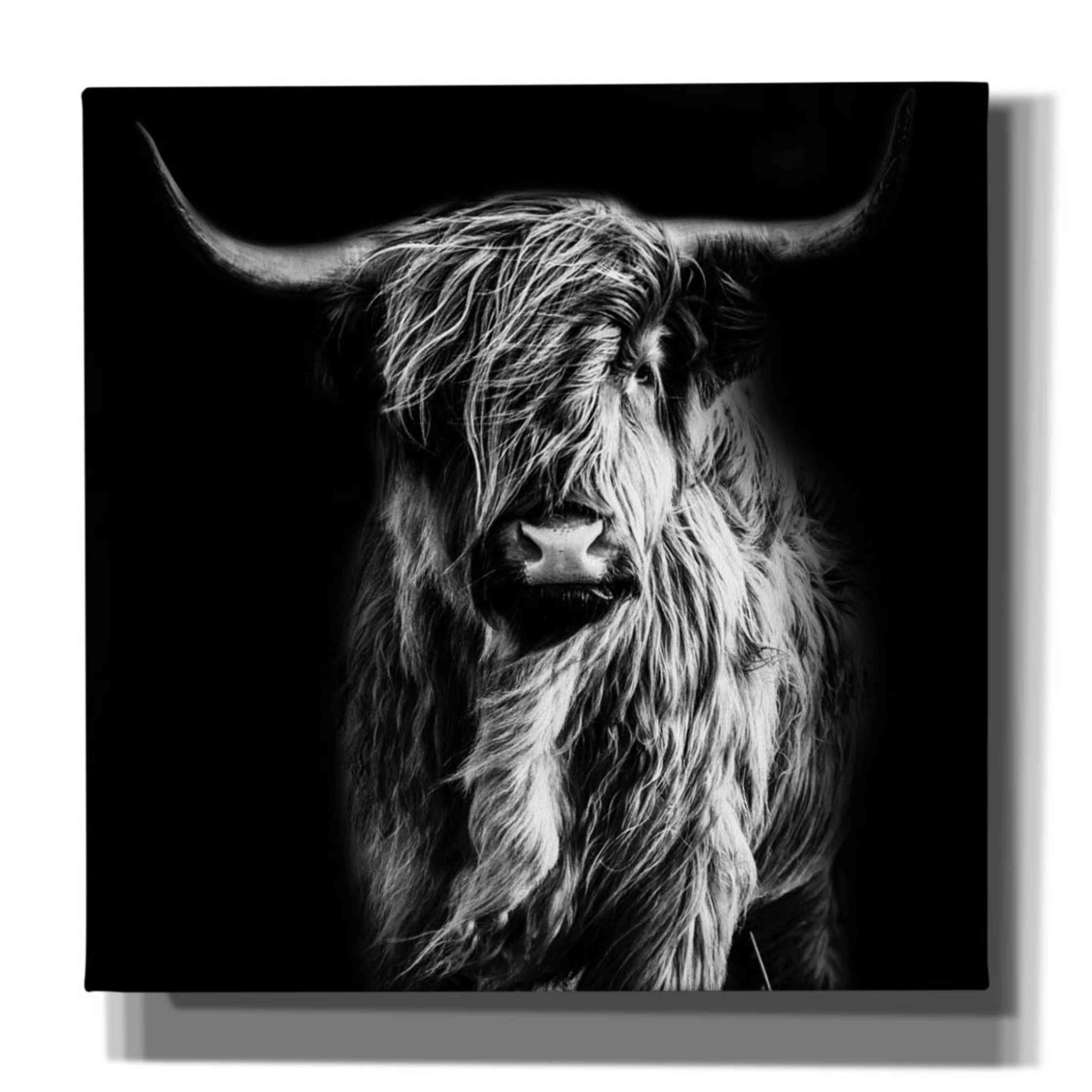 Epic Graffiti 'Hippy Highland Cow' by Epic Portfolio Giclee Canvas Wall ...