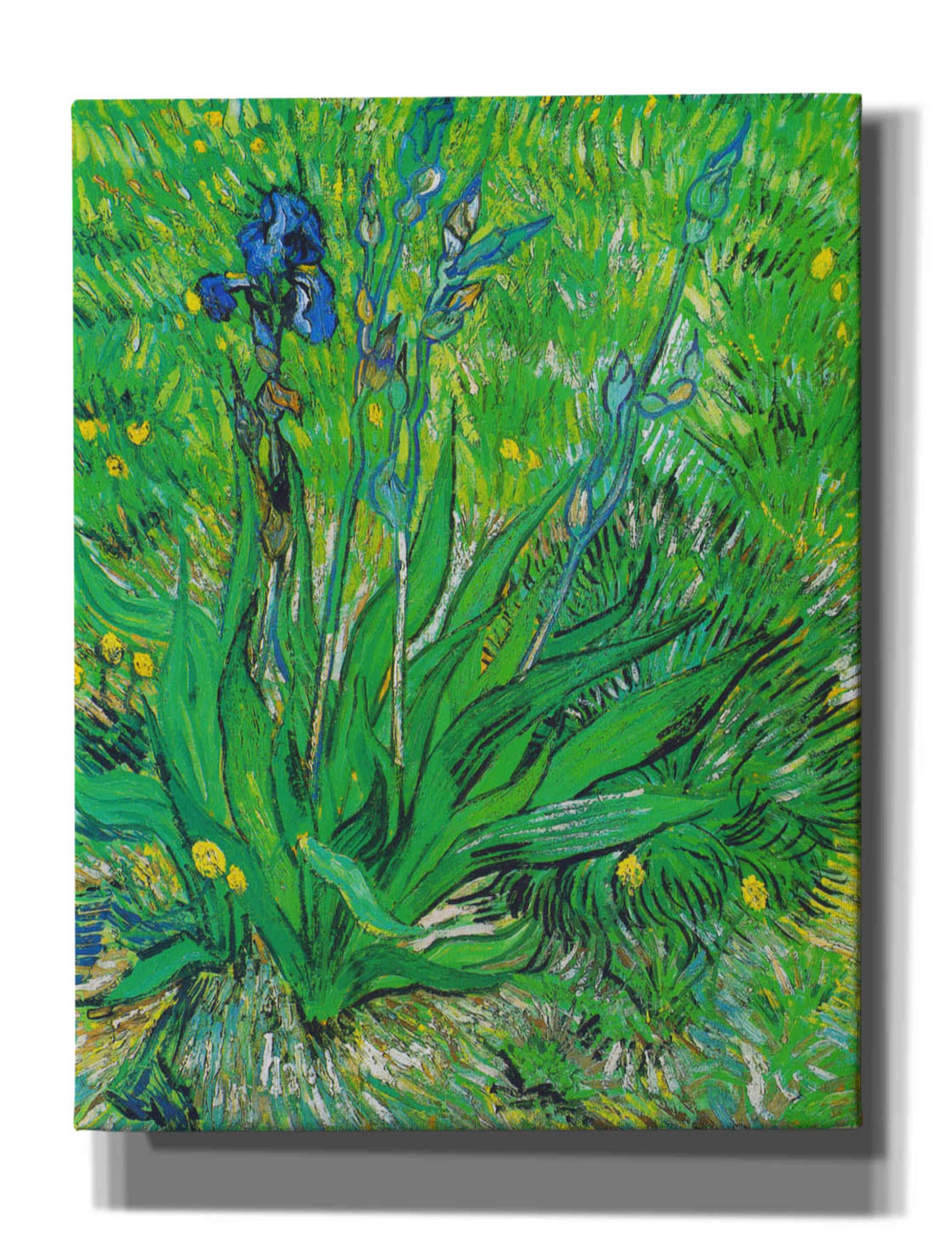 Epic Graffiti 'Iris' by Vincent Van Gogh, Giclee Canvas Wall Art, 26 ...