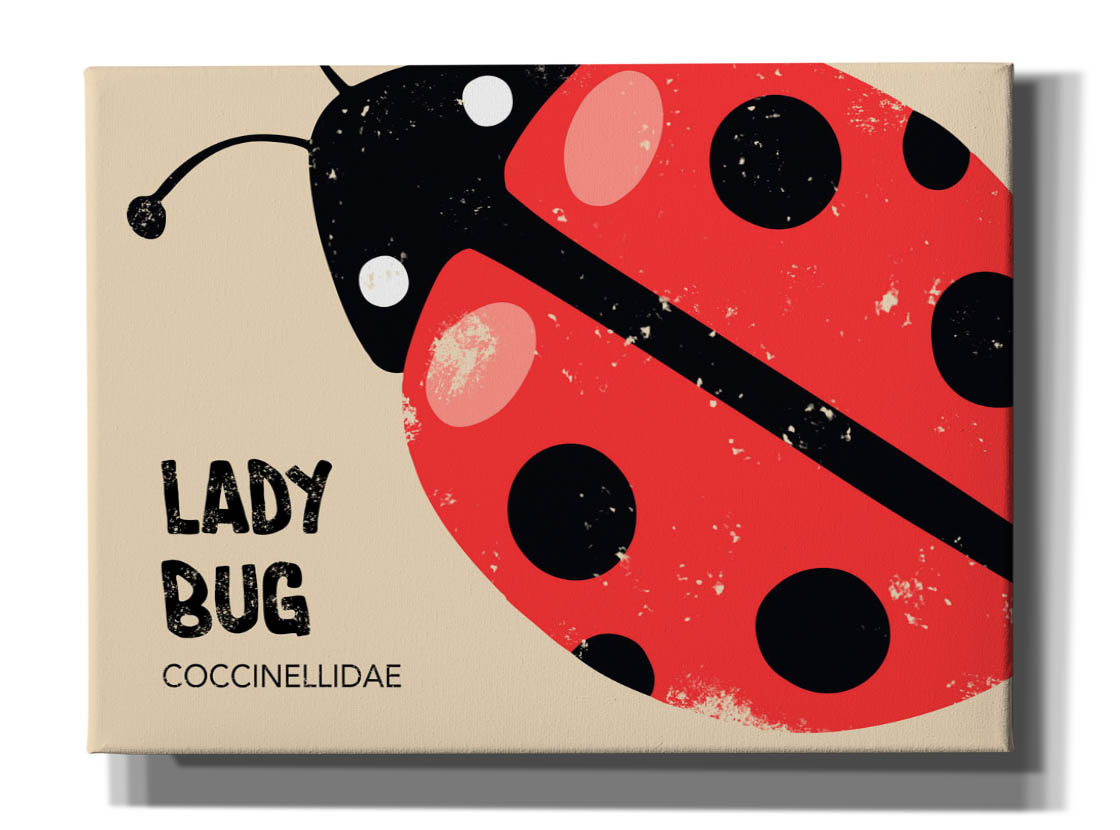 Epic Graffiti 'Lady Bug' by Andreas Magnusson Canvas Wall Art, 54" x 40 ...