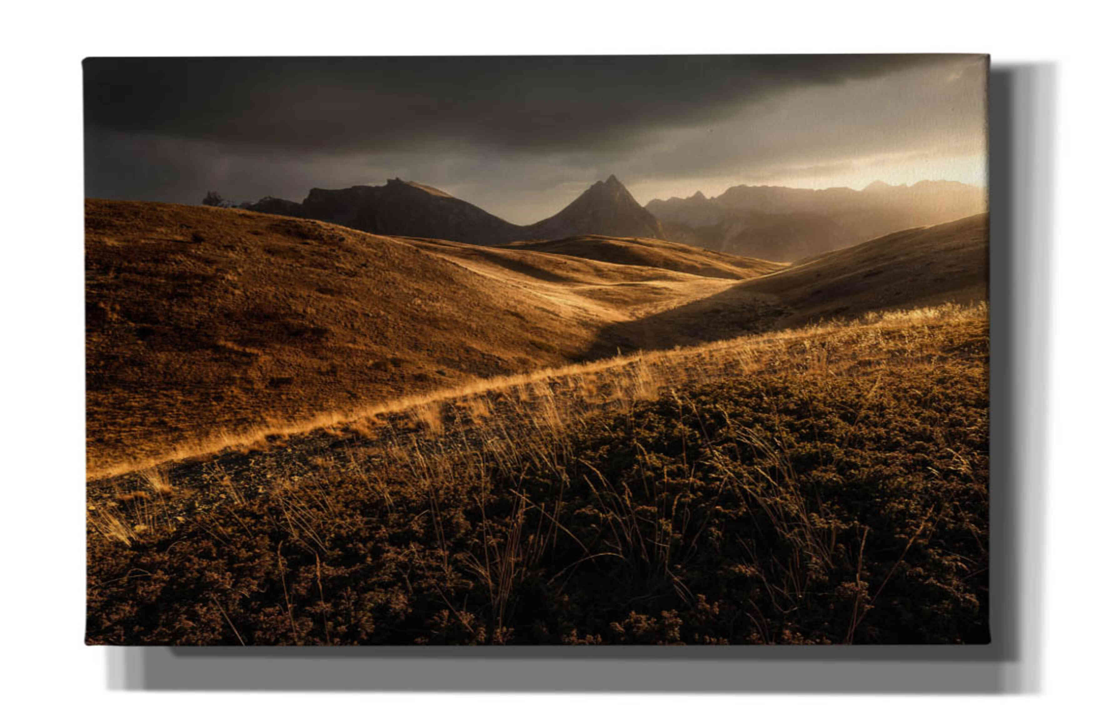 Epic Graffiti 'Last Autumn Light' by Enrico Fossati, Giclee Canvas Wall ...