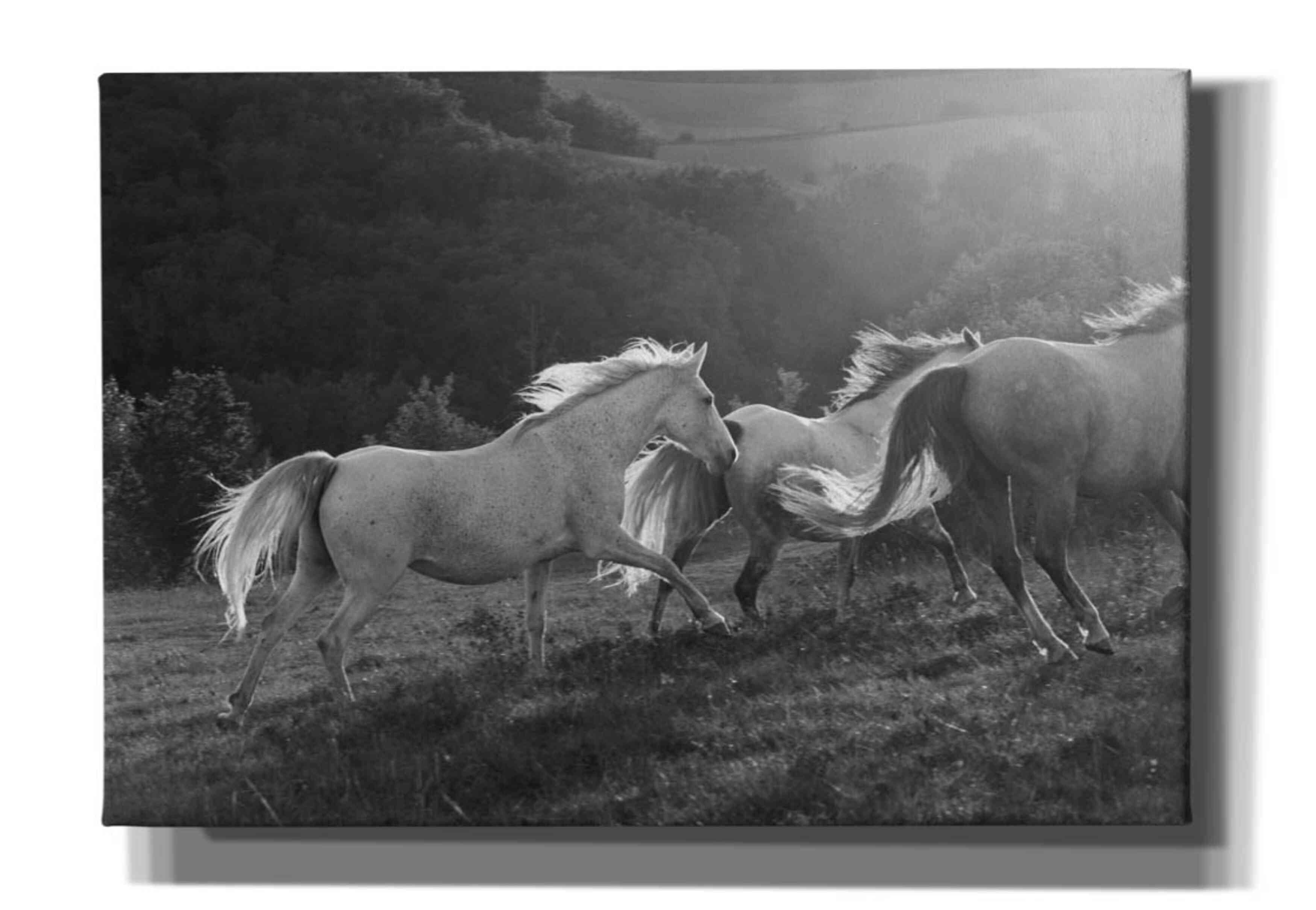 Epic Graffiti 'Late light' by Susan Friedman,, 26"x18" - Walmart.com