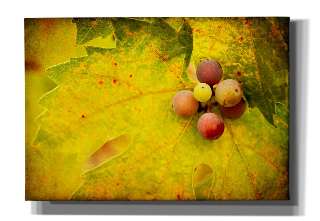 Epic Graffiti 'Leaf And Cluster 1' by Jessica Rogers, Canvas Wall Art ...