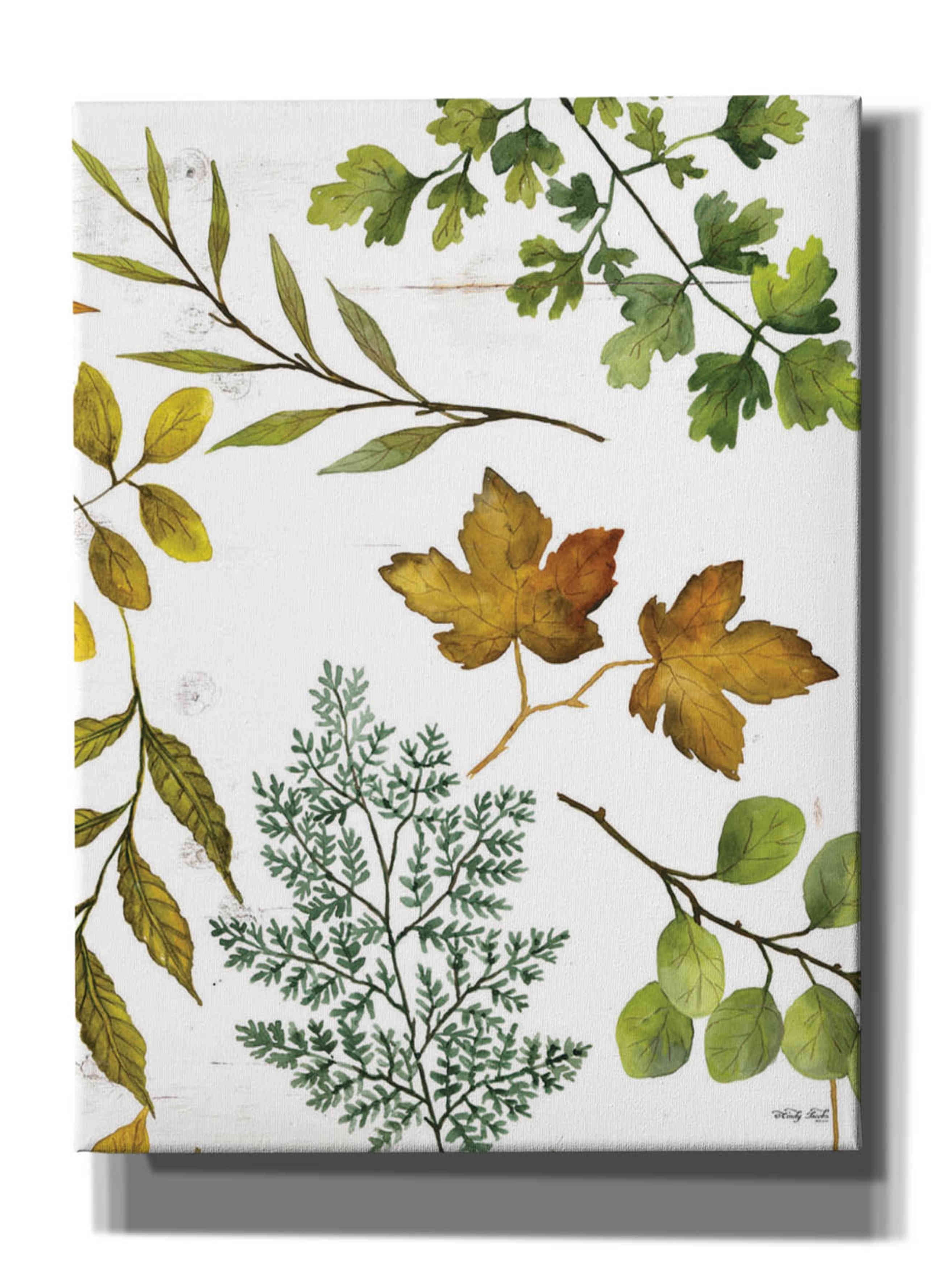 Epic Graffiti 'Leaf Patterns II' by Cindy Jacobs, Canvas Wall Art, 12 ...