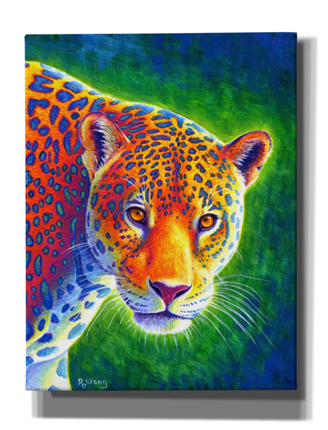 Epic Graffiti 'Light in the Rainforest' by Rebecca Wang Art, Canvas ...