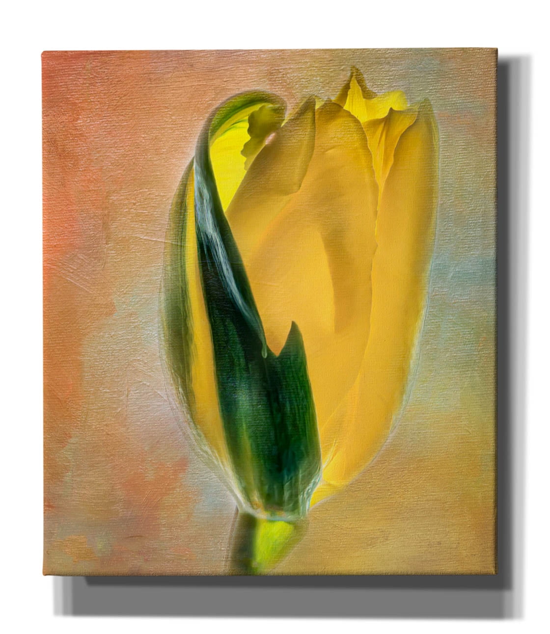 Epic Graffiti 'Little Sister' by Pamela Plummer, Canvas Wall Art, 26 ...