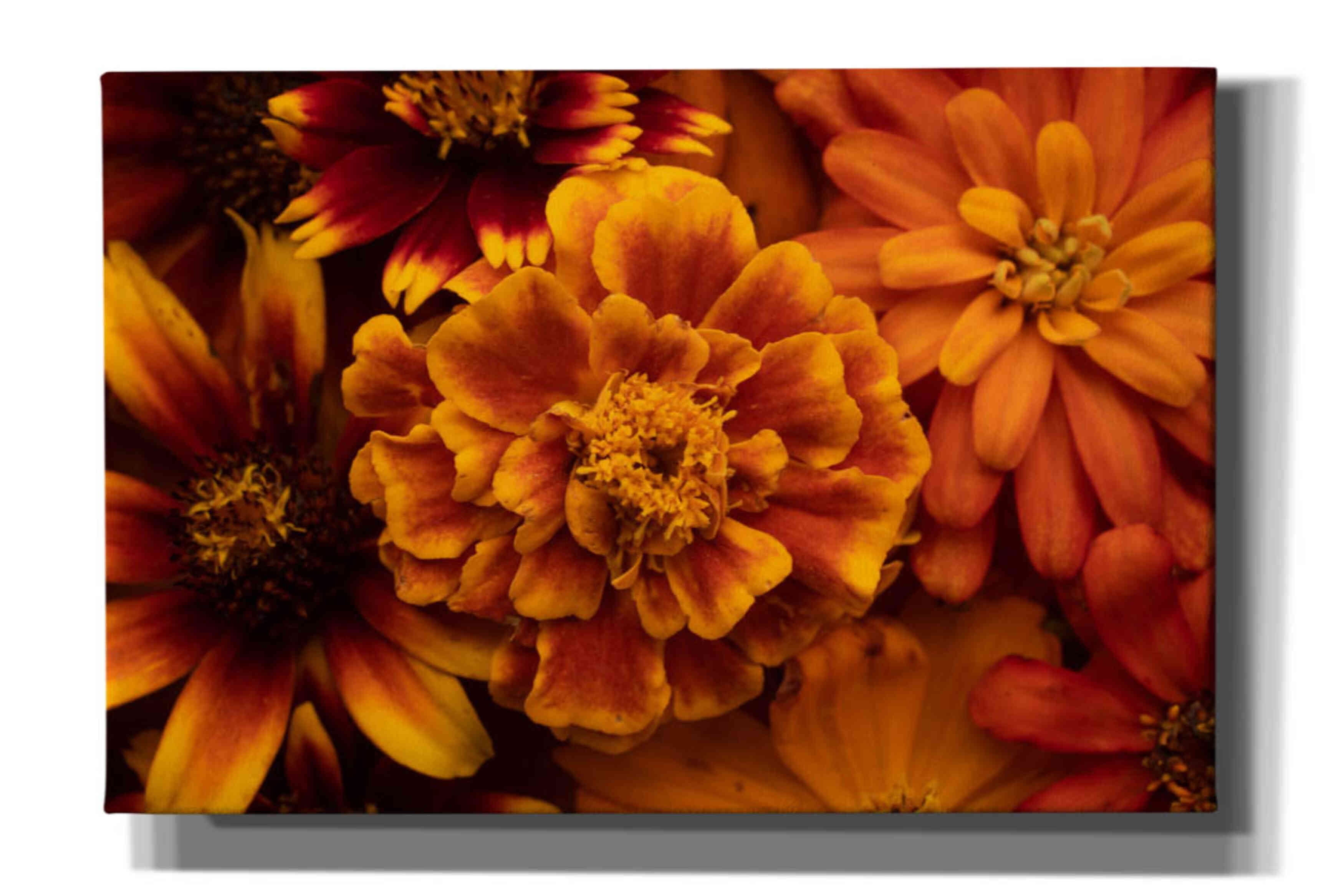 Epic Graffiti 'Marigold Petals' by Leah McLean,, 60"x40" - Walmart.com