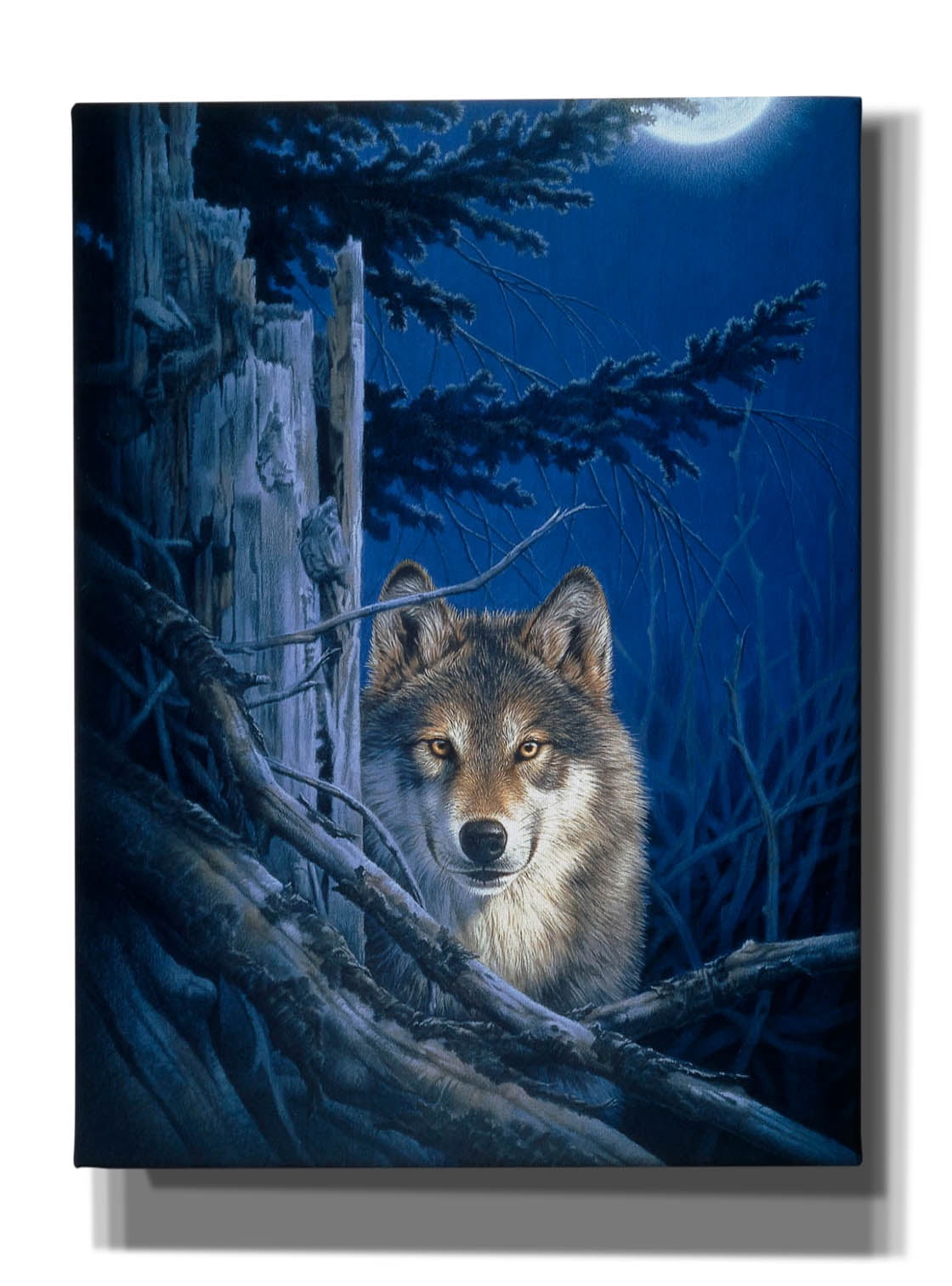 Epic Graffiti 'Moon Shine' by Joh Naito, Canvas Wall Art, 40"x54 ...