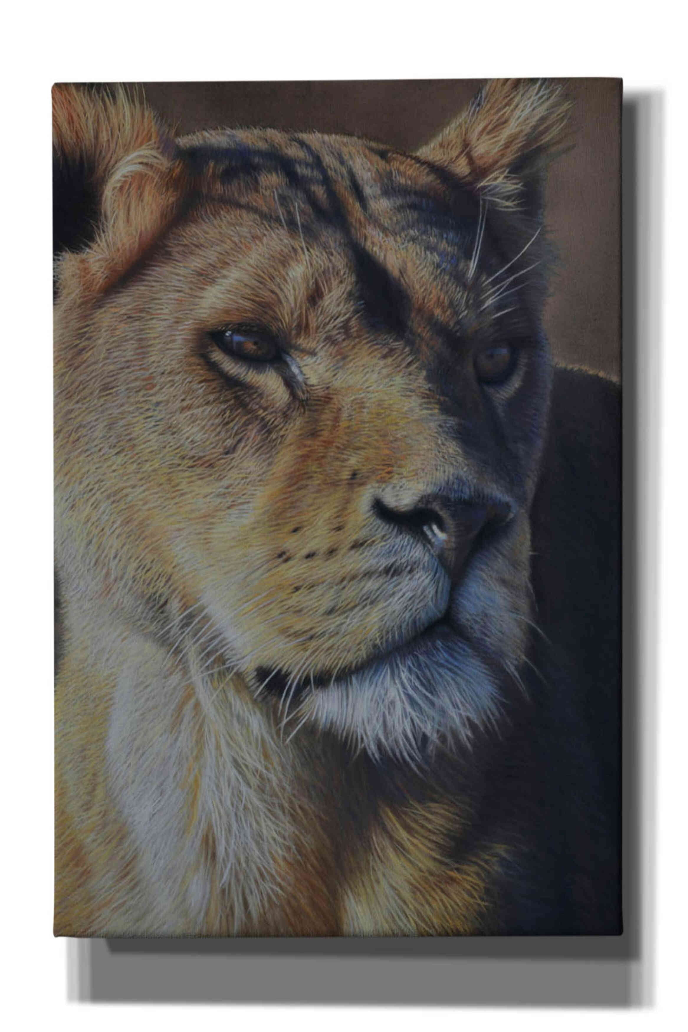 Epic Graffiti 'Nia' by Sam Dolman, Canvas Wall Art, 12"x18" - Walmart.com