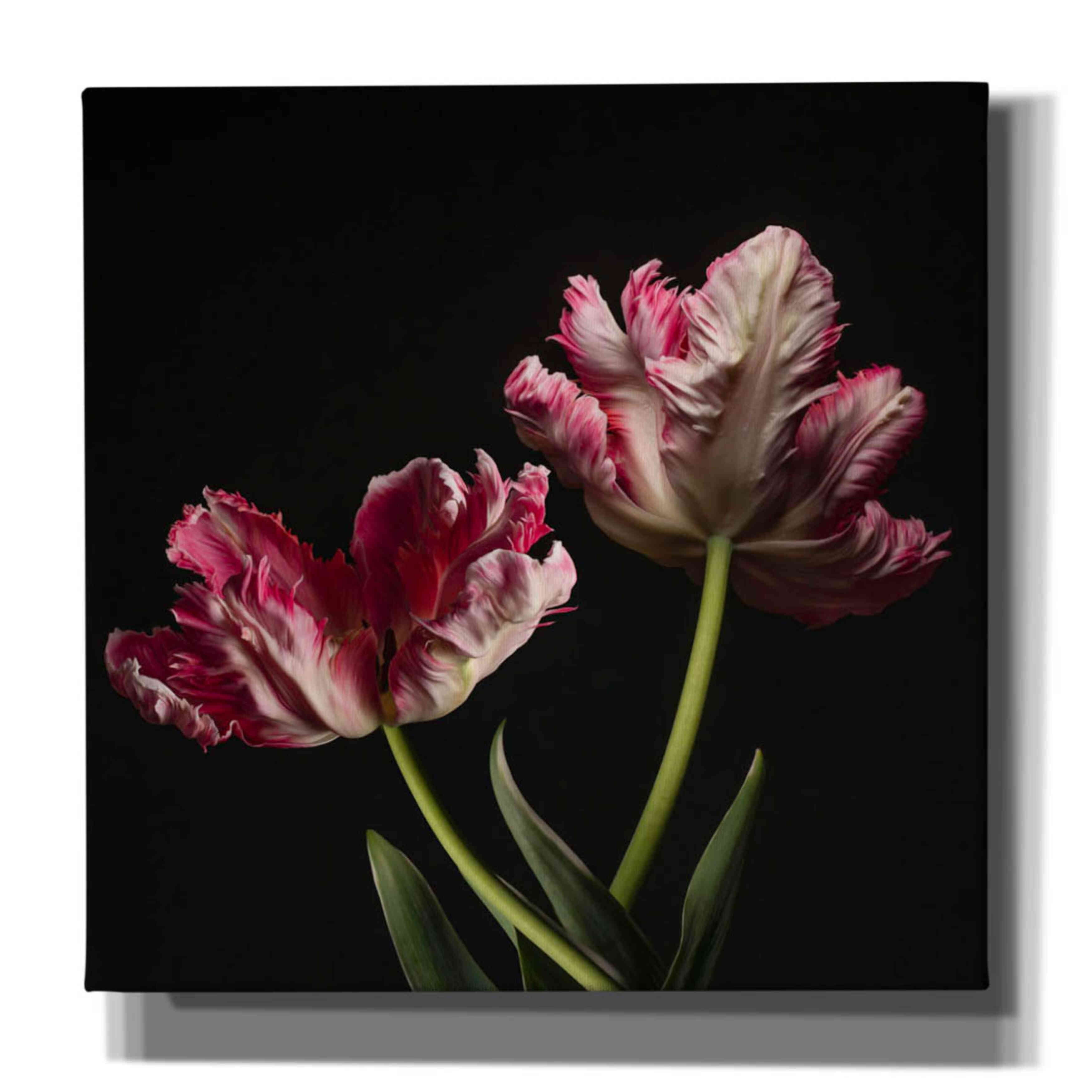 Epic Graffiti 'Open Bloomed Tulips' by Leah McLean,, 18"x18" - Walmart.com
