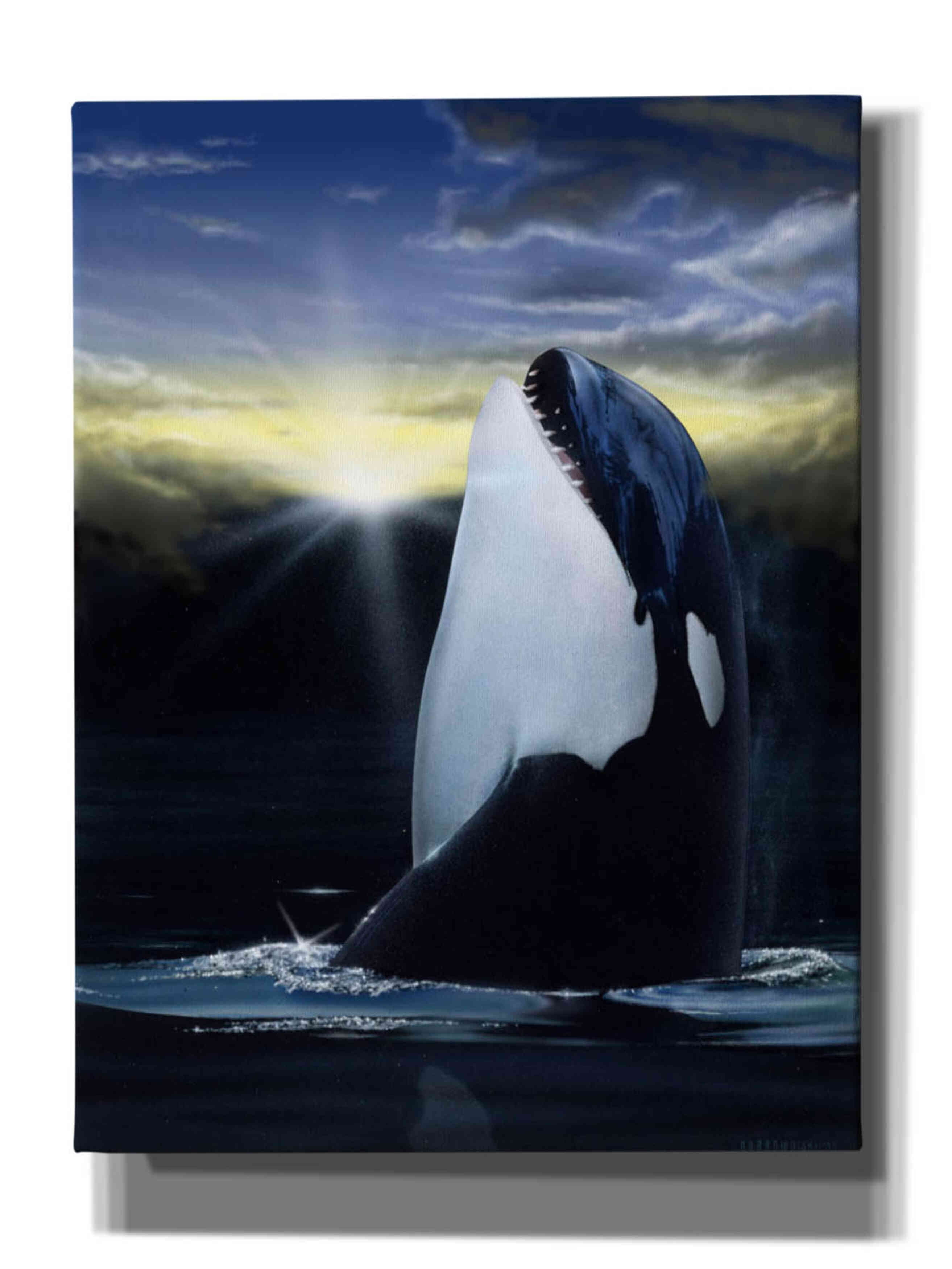 Epic Graffiti 'Orca Sunset' by Chris Dobrowolski, Canvas Wall Art, 12 ...