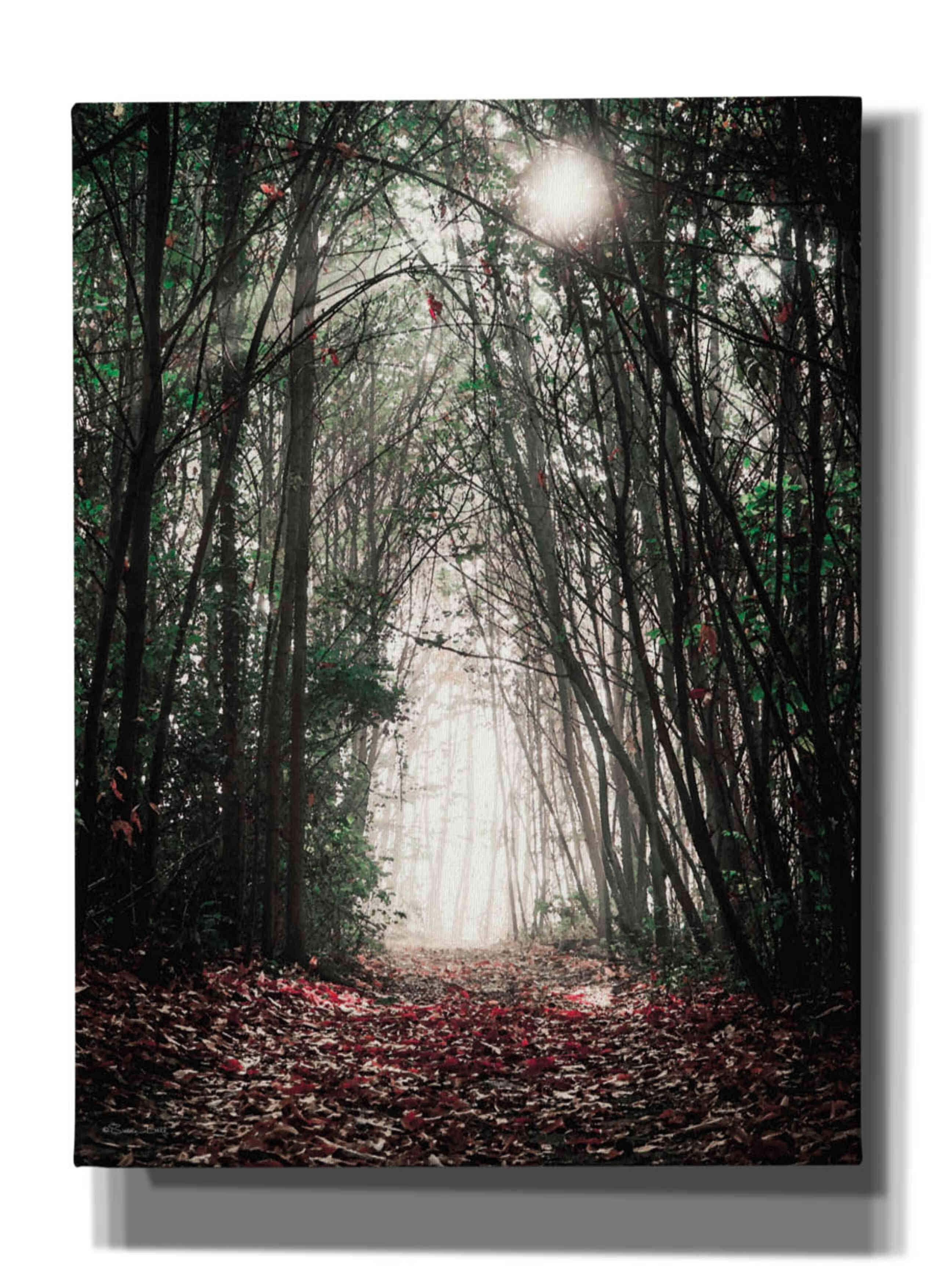 Epic Graffiti'Path In The Woods' by Susan Ball, Giclee Canvas Wall Art ...