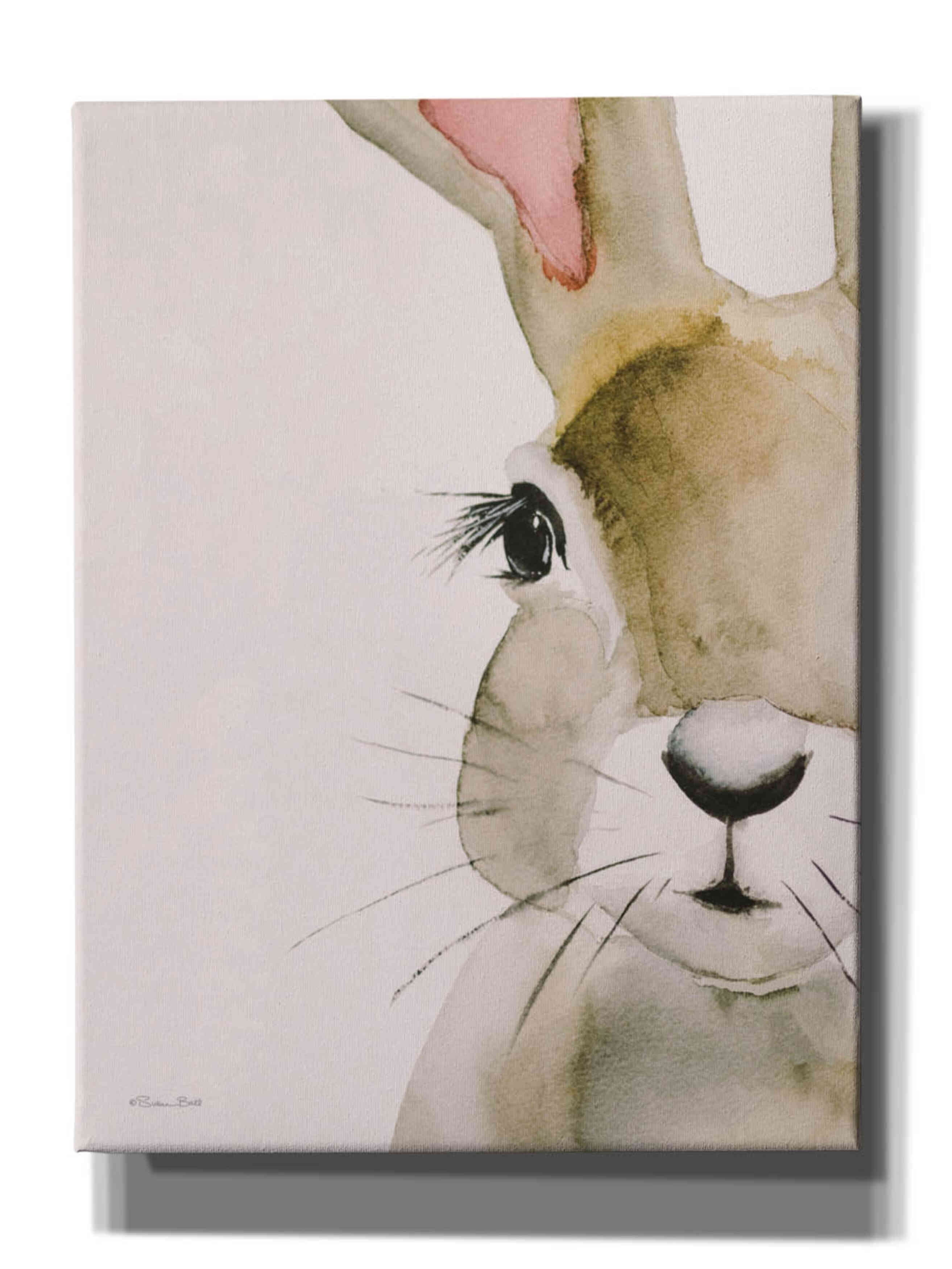 Epic Graffiti'Peeking Bunny' by Susan Ball, Giclee Canvas Wall Art, 12 ...