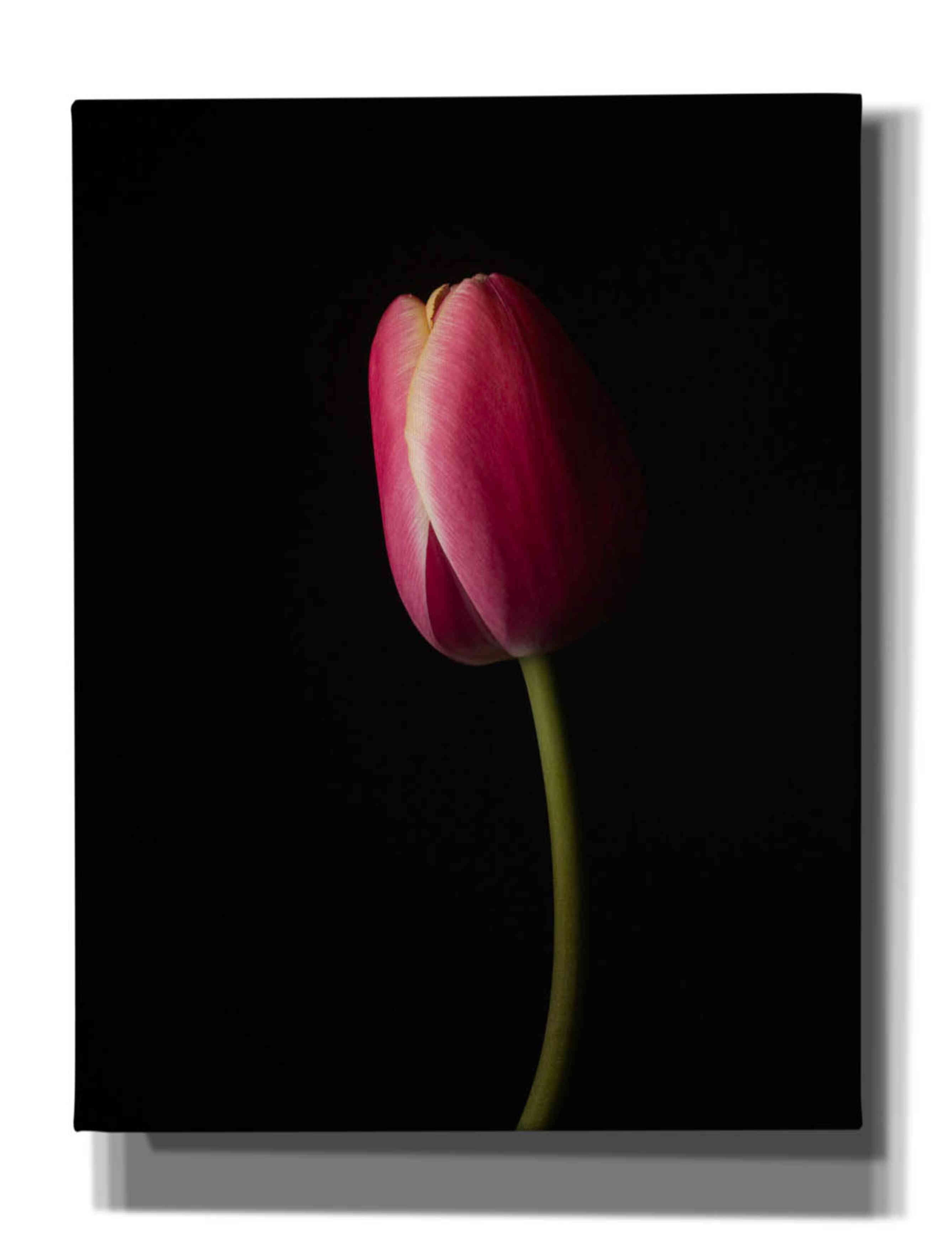 Epic Graffiti 'Perfect Curve' by Leah McLean,, 26"x34" - Walmart.com