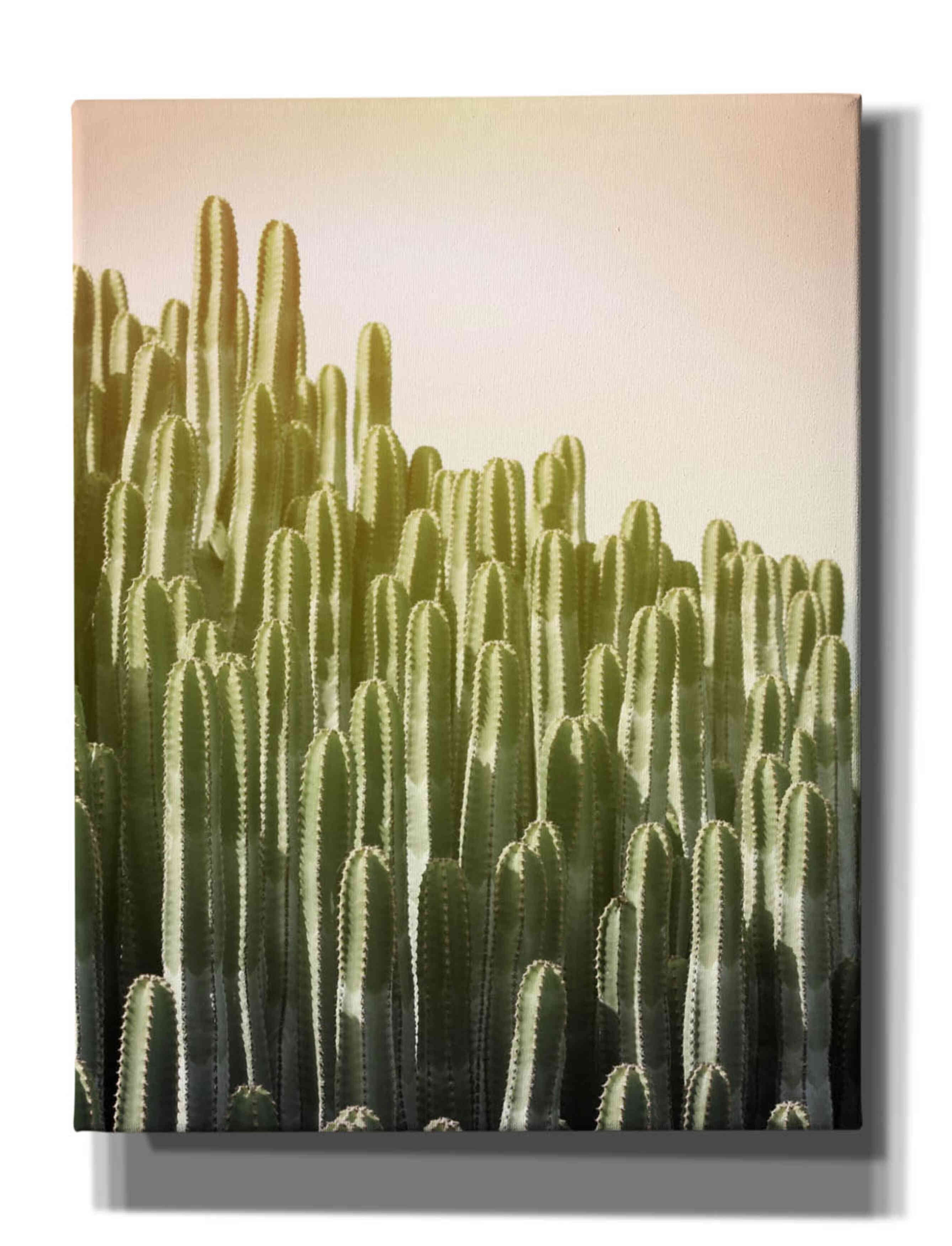 Epic Graffiti 'Pink Sky Cactus' by Lexie Greer, 26"x34" - Walmart.com