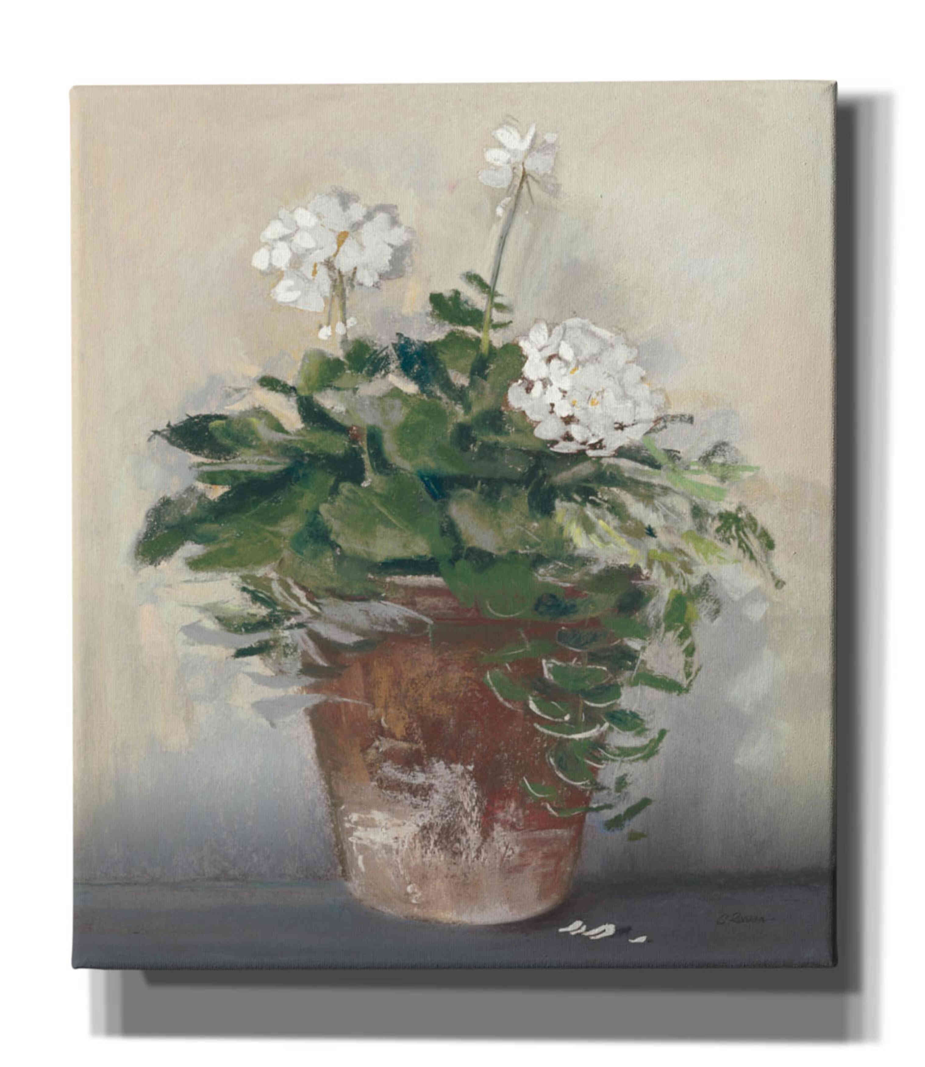 Epic Graffiti 'Pot Of White Geraniums' by Carol Rowan, Giclee Canvas ...