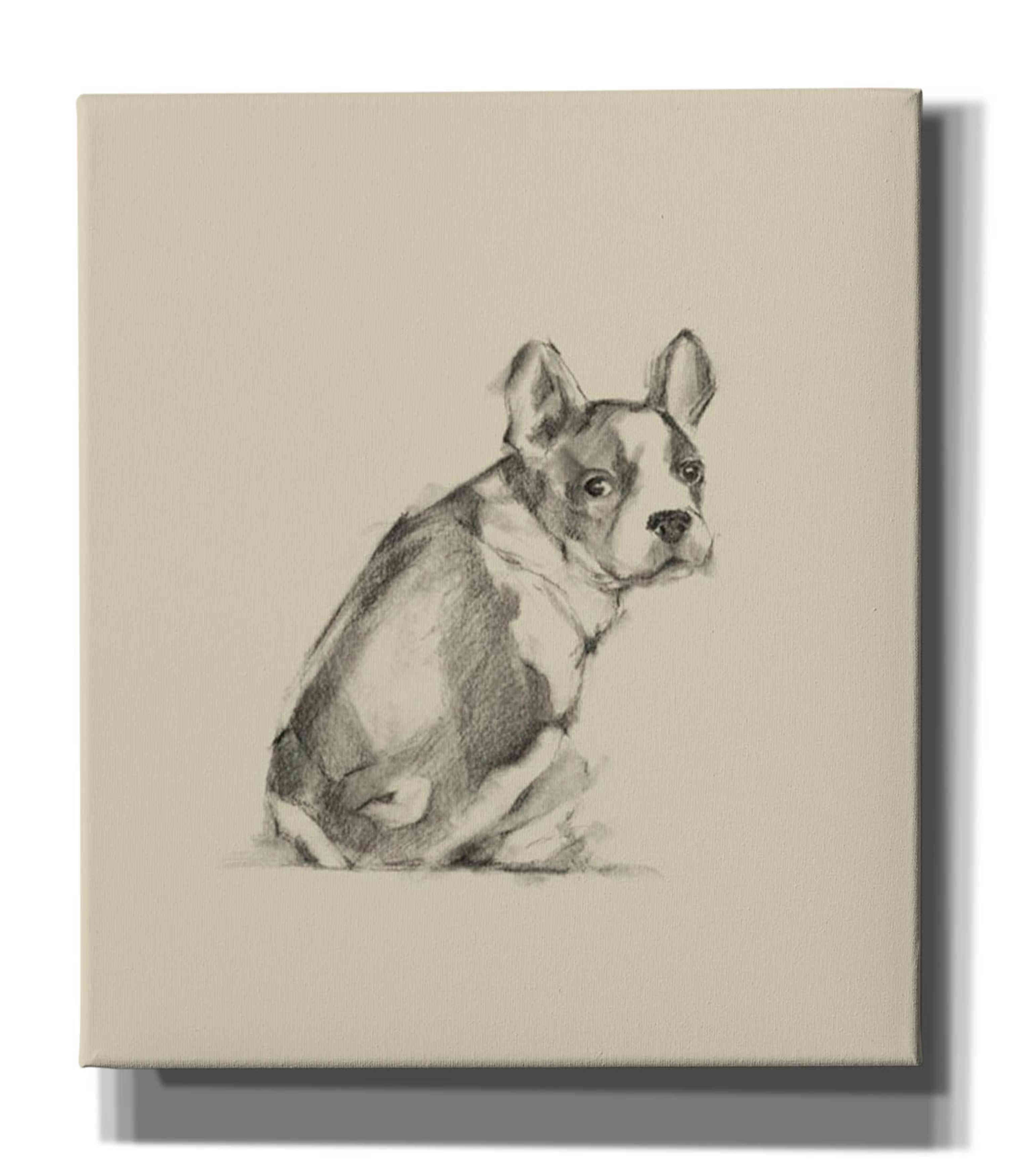 Epic Graffiti 'Puppy Dog Eyes IV' by Ethan Harper Canvas Wall Art, 26 ...