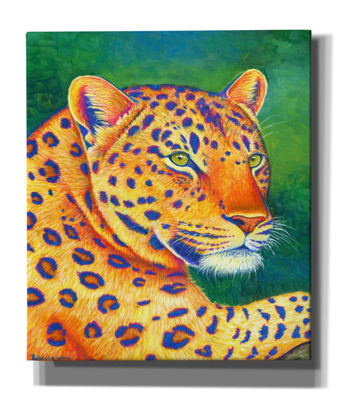 Epic Graffiti 'Queen of the Jungle' by Rebecca Wang Art, Acrylic Glass ...