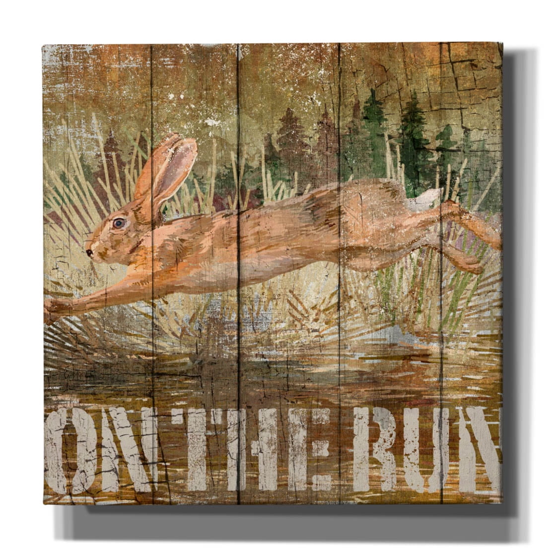 Epic Graffiti 'Rabbit On The Run' by Art Licensing Studio Canvas Wall ...