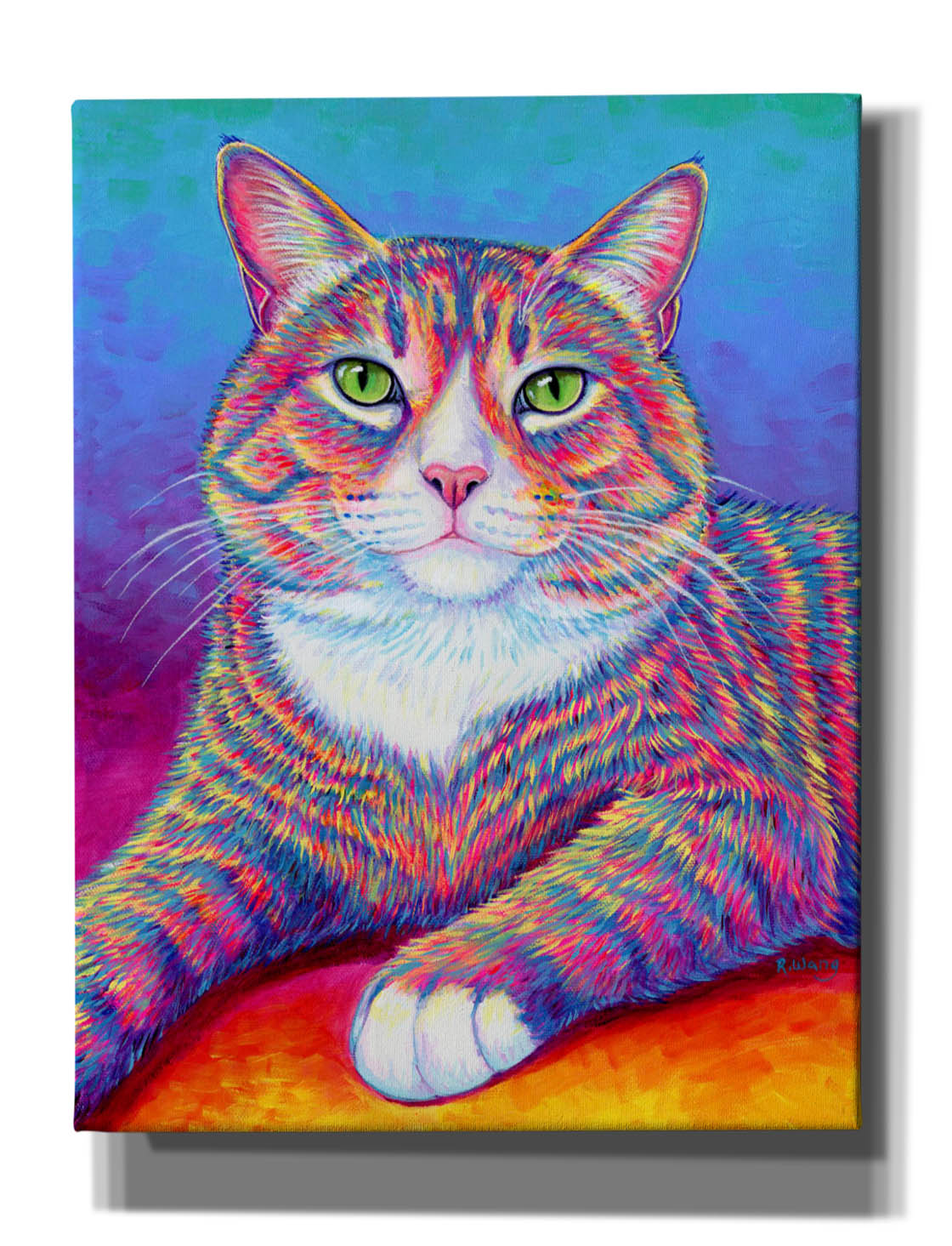 Epic Graffiti 'Rainbow Brown and White Tabby Cat' by Rebecca Wang Art ...
