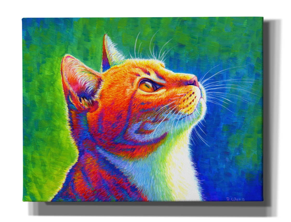 Epic Graffiti 'Rainbow Cat' by Rebecca Wang Art, Acrylic Glass Wall Art ...