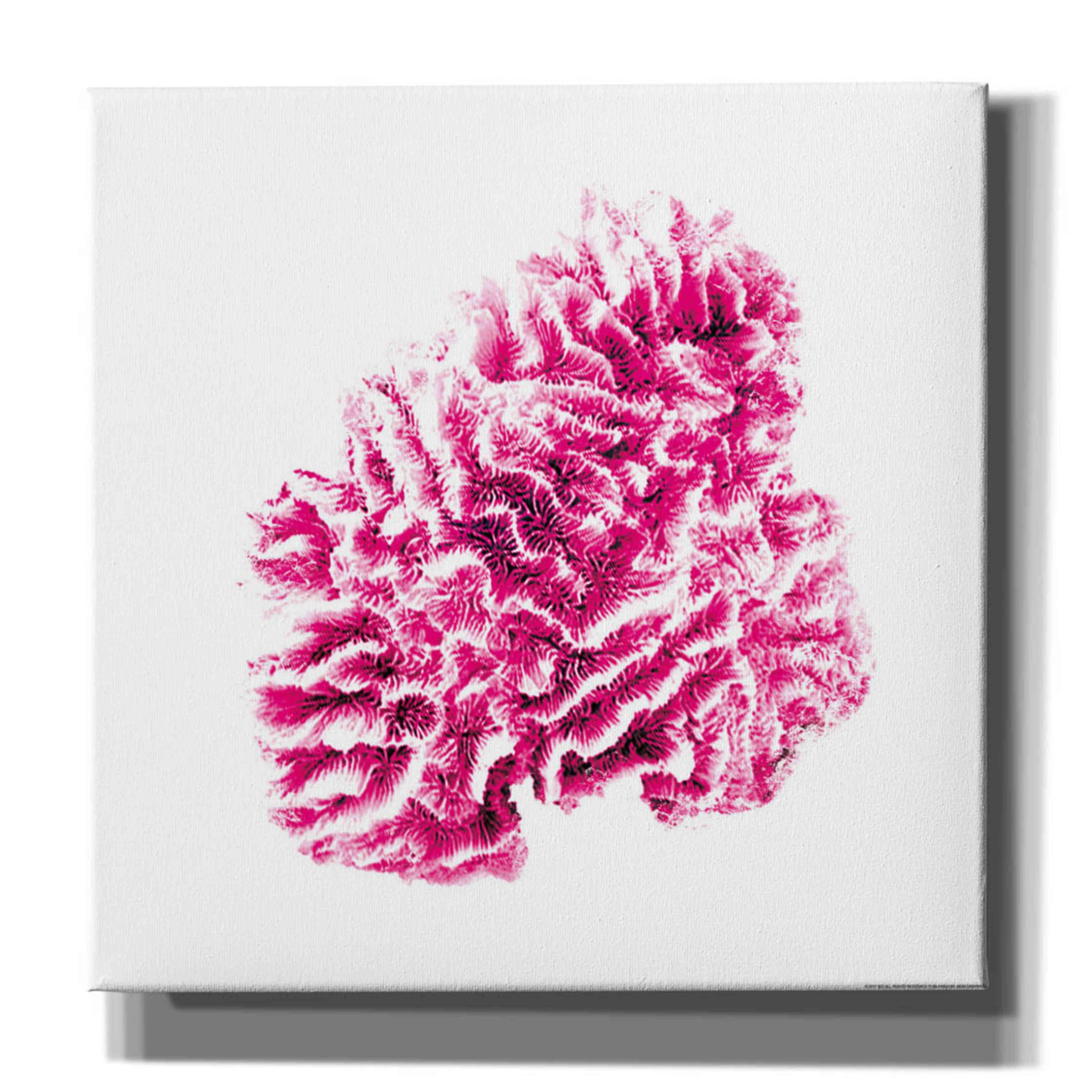 Epic Graffiti 'Red Coral' by JJ Brando, Canvas Wall Art, 18"x18 ...