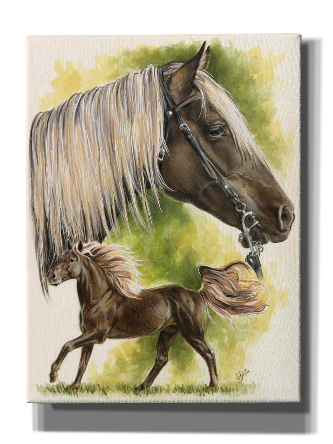Epic Graffiti 'Rocky Mountain Horse' by Barbara Keith, Canvas Wall Art ...