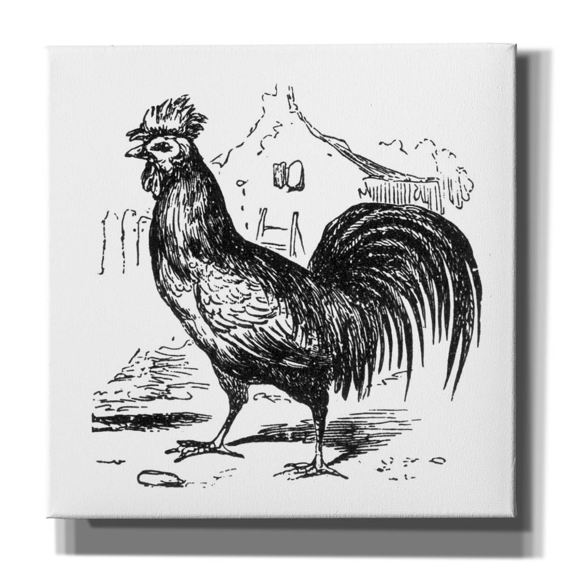 Epic Graffiti 'Roving Rooster' by Art Licensing Studio Canvas Wall Art ...