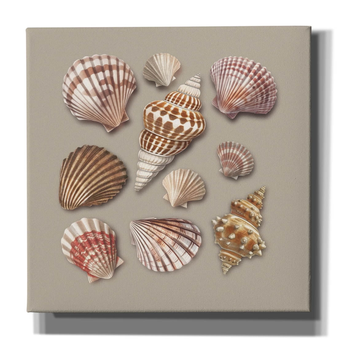 Epic Graffiti 'Sea Shells' by Svetlana Aleynikova Canvas Wall Art, 26 ...