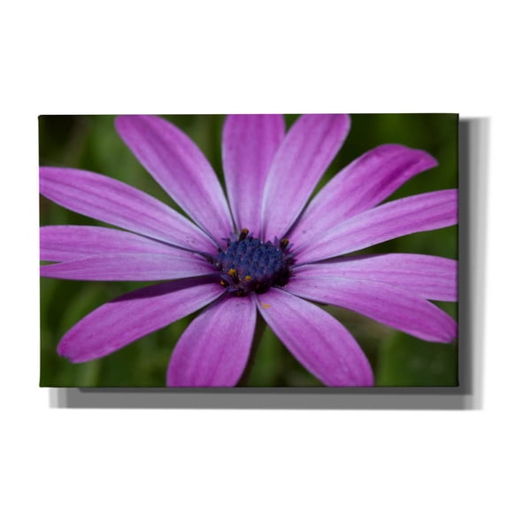 Epic Graffiti 'Seven' by SD Smart, Canvas Wall Art, 40"x26" - Walmart.com